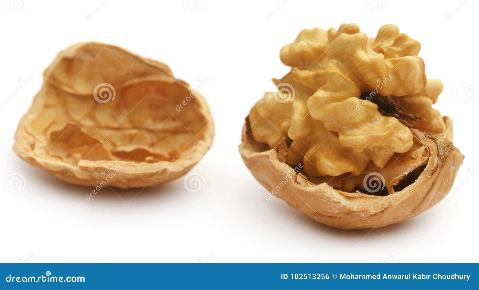 Okkernoot stock foto. Image of voedsel, voeding, macro - 102513256
