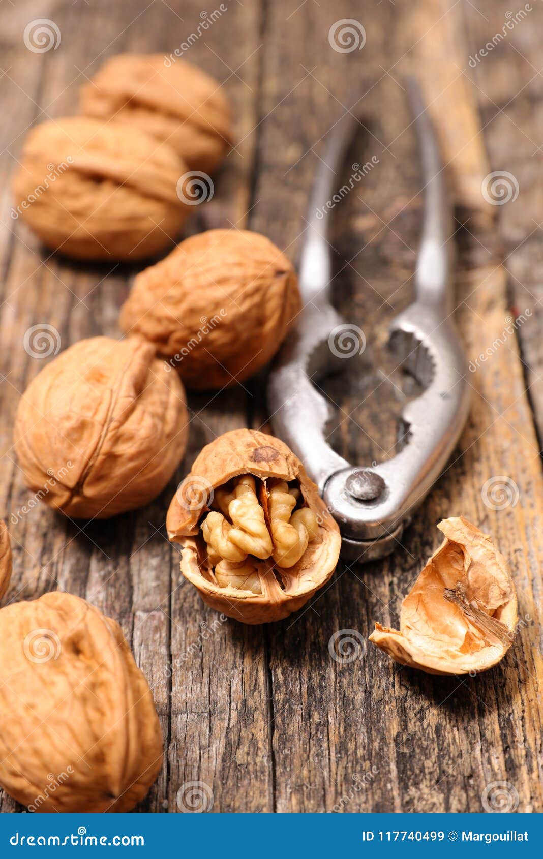 Okkernoot stock afbeelding. Image of ingrediënt, schelp - 117740499