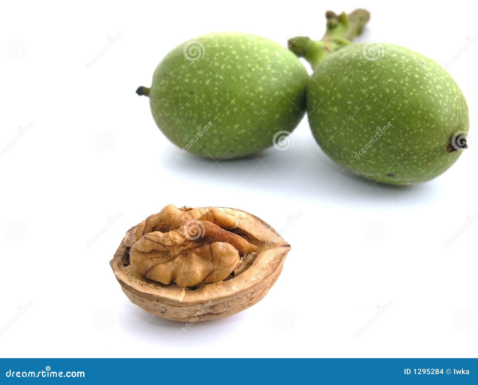 Okkernoot stock foto. Image of notedop, voedsel, zuren - 1295284