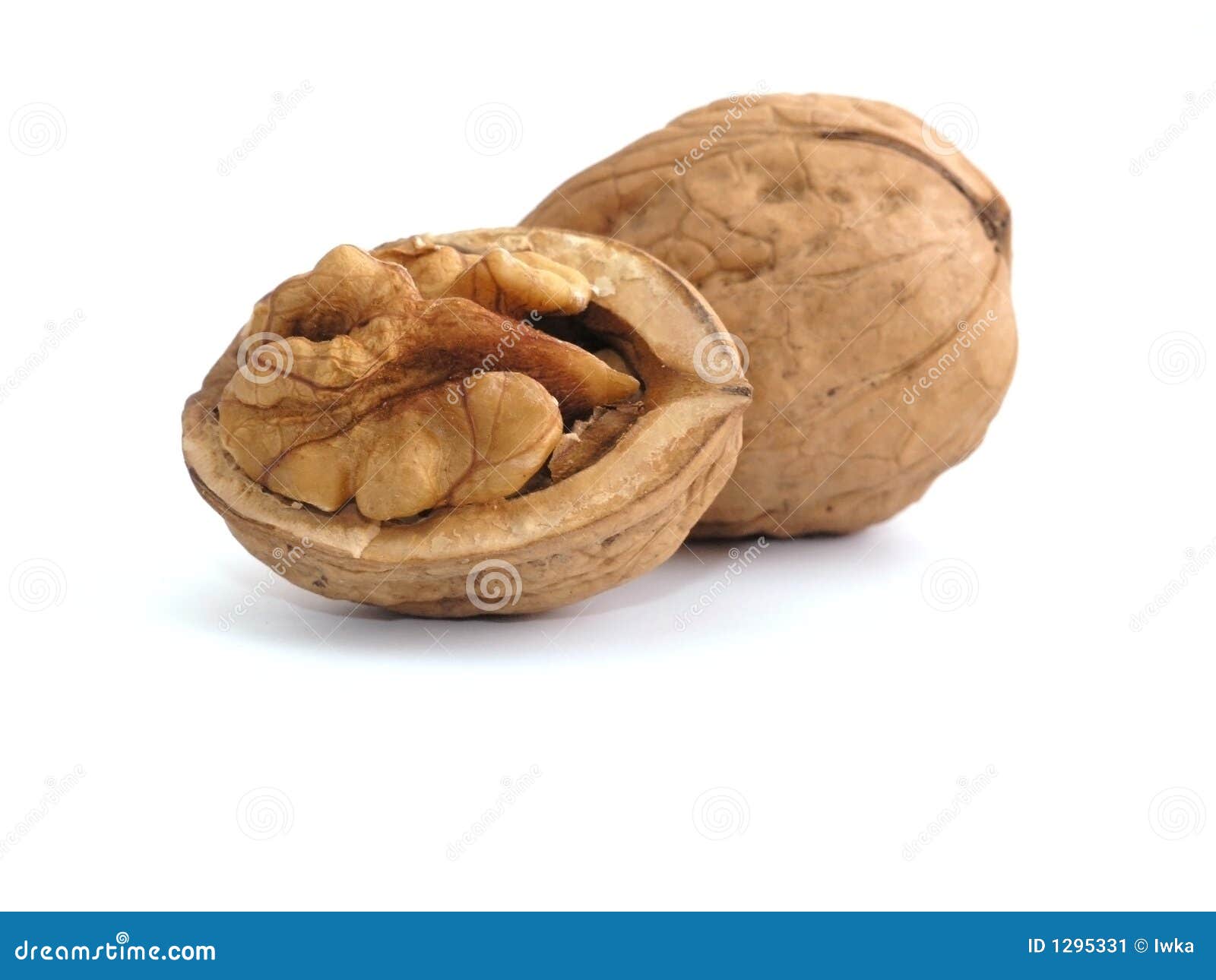 Okkernoot stock afbeelding. Image of nave, vers, gewaardeerd - 1295331