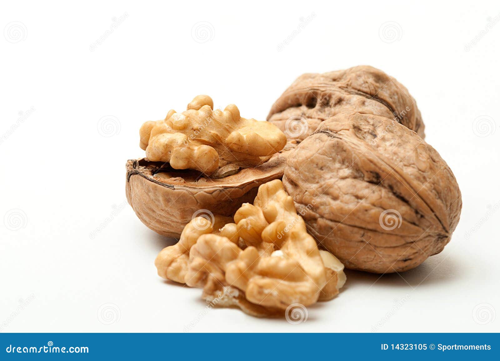 Okkernoot stock afbeelding. Image of inhoud, okkernoot - 14323105