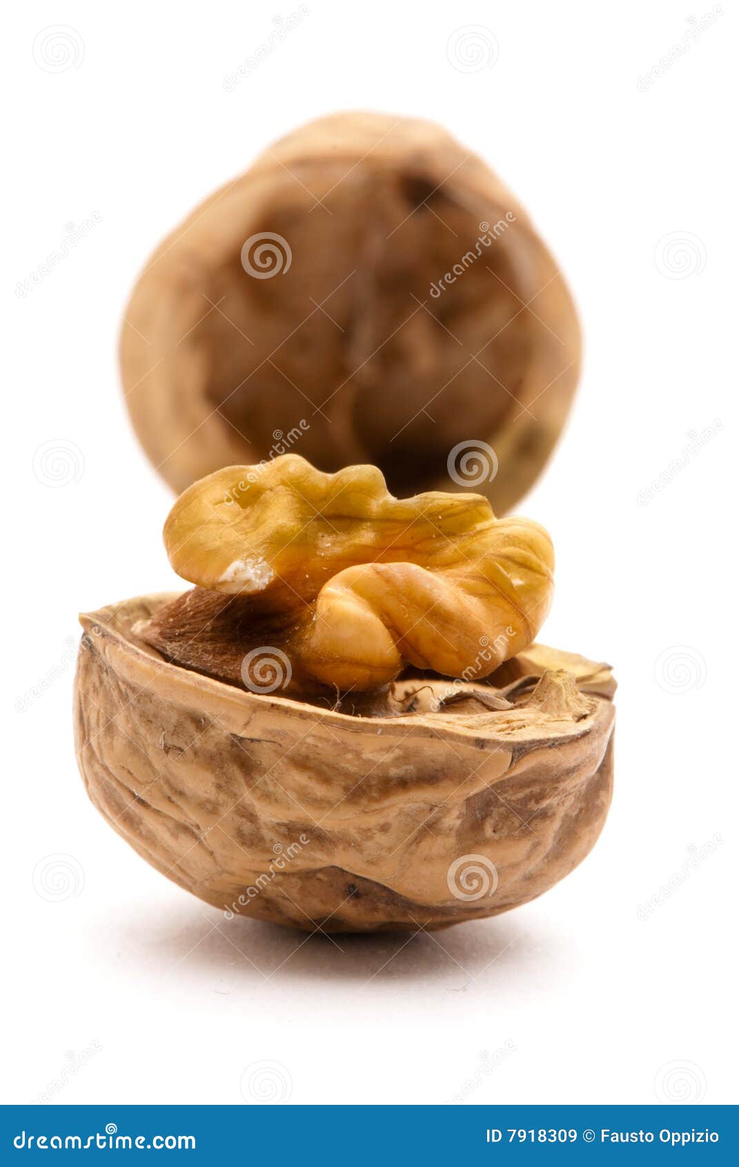 Okkernoot stock afbeelding. Image of voorwerp, daling - 7918309