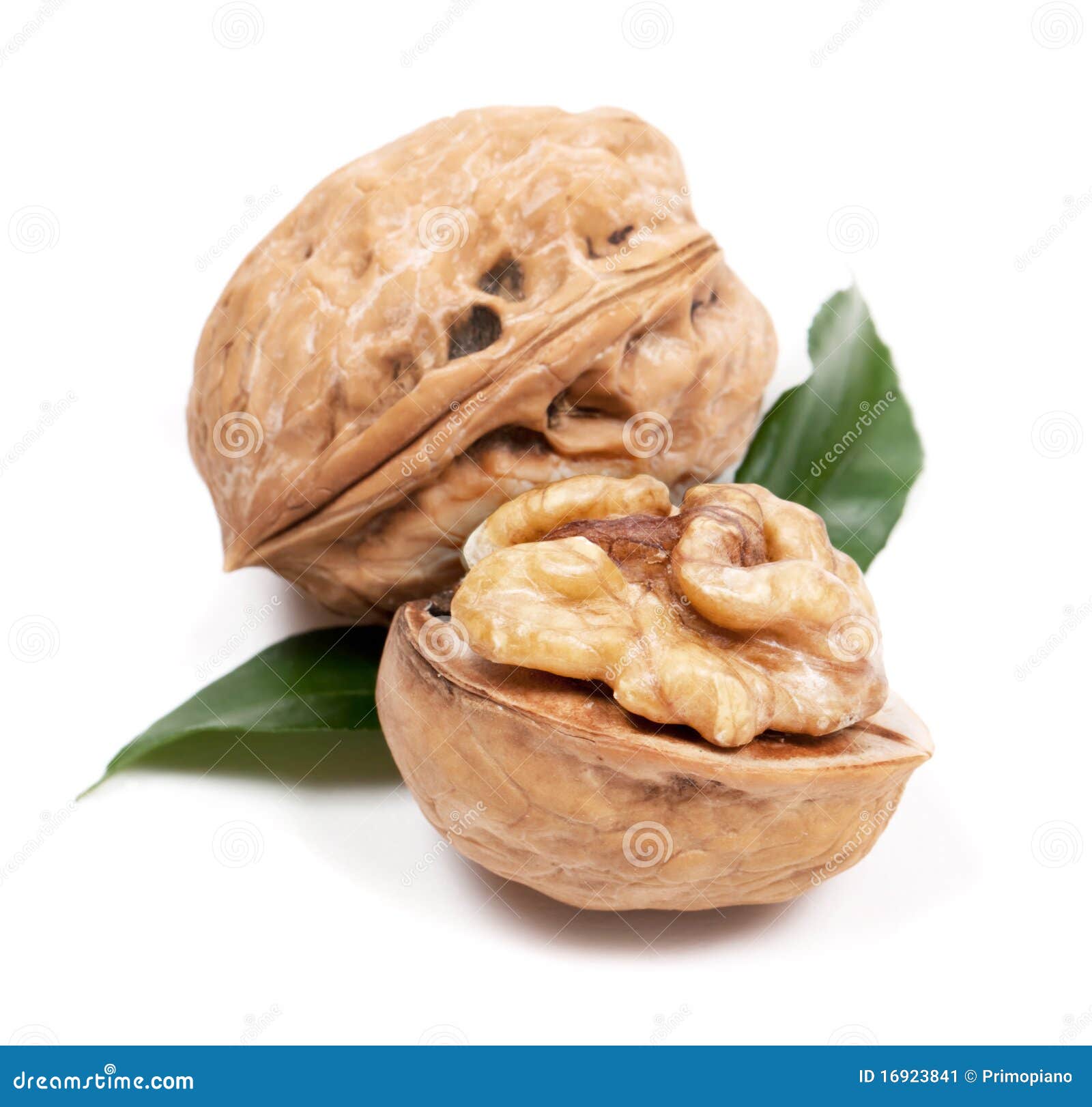 Okkernoot met blad stock afbeelding. Image of okkernoot - 16923841