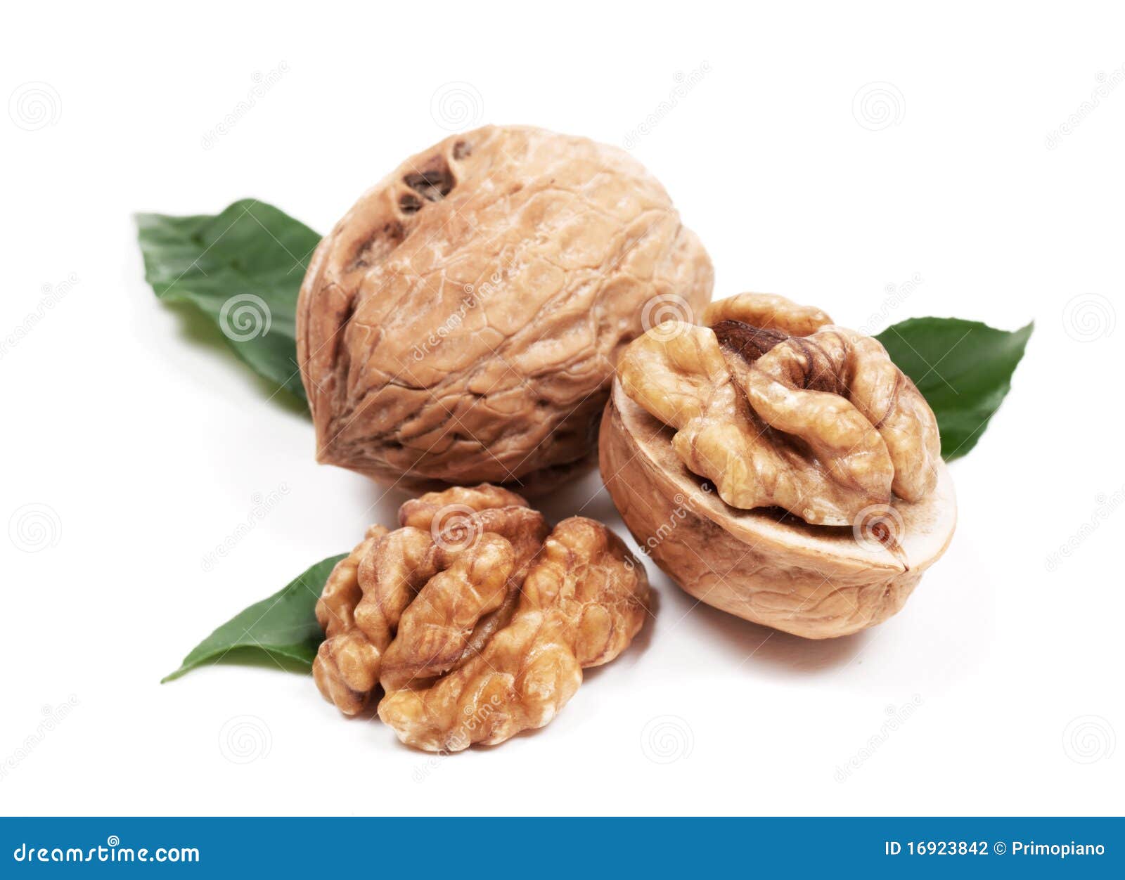 Okkernoot met blad stock foto. Image of open, plantaardig - 16923842