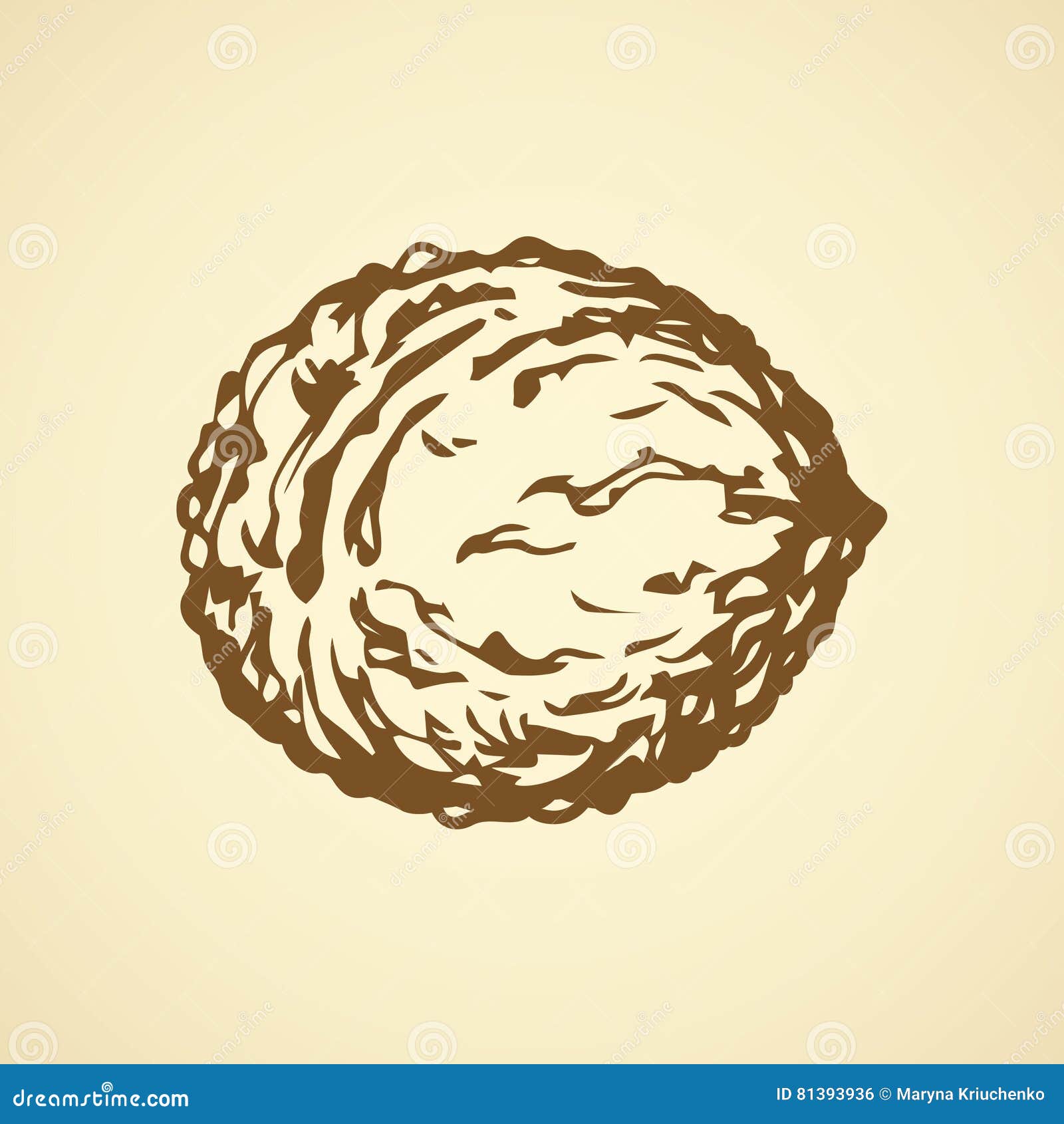 Okkernoot Vector tekening vector illustratie. Illustration of najaar ...