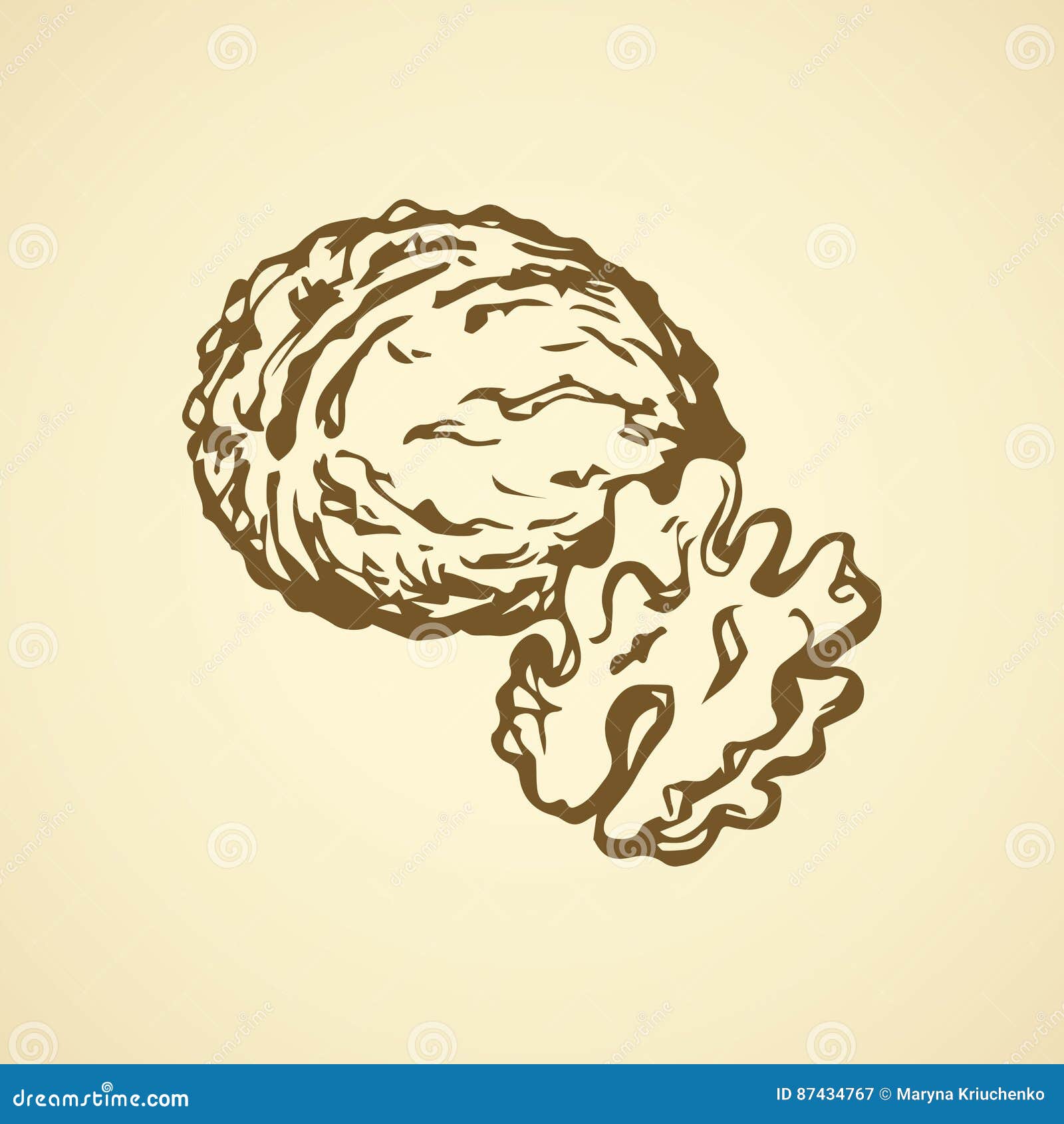 Okkernoot Vector tekening vector illustratie. Illustration of bruin ...