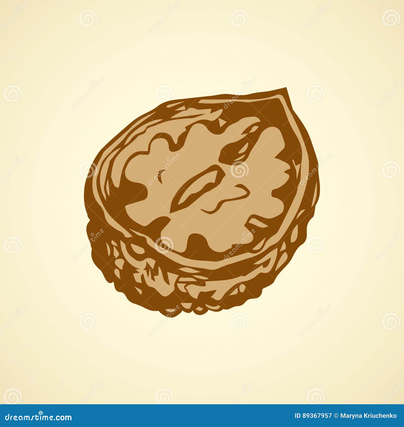 Okkernoot Vector tekening vector illustratie. Illustration of calorie ...