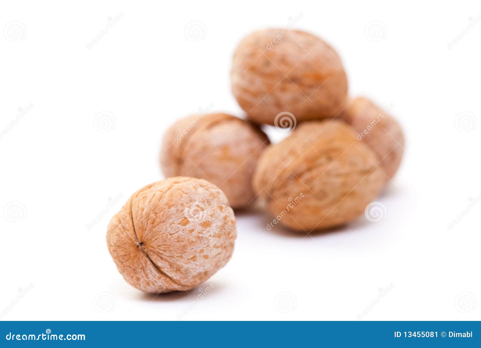 Okkernoten stock afbeelding. Image of vrucht, macro, bruin - 13455081