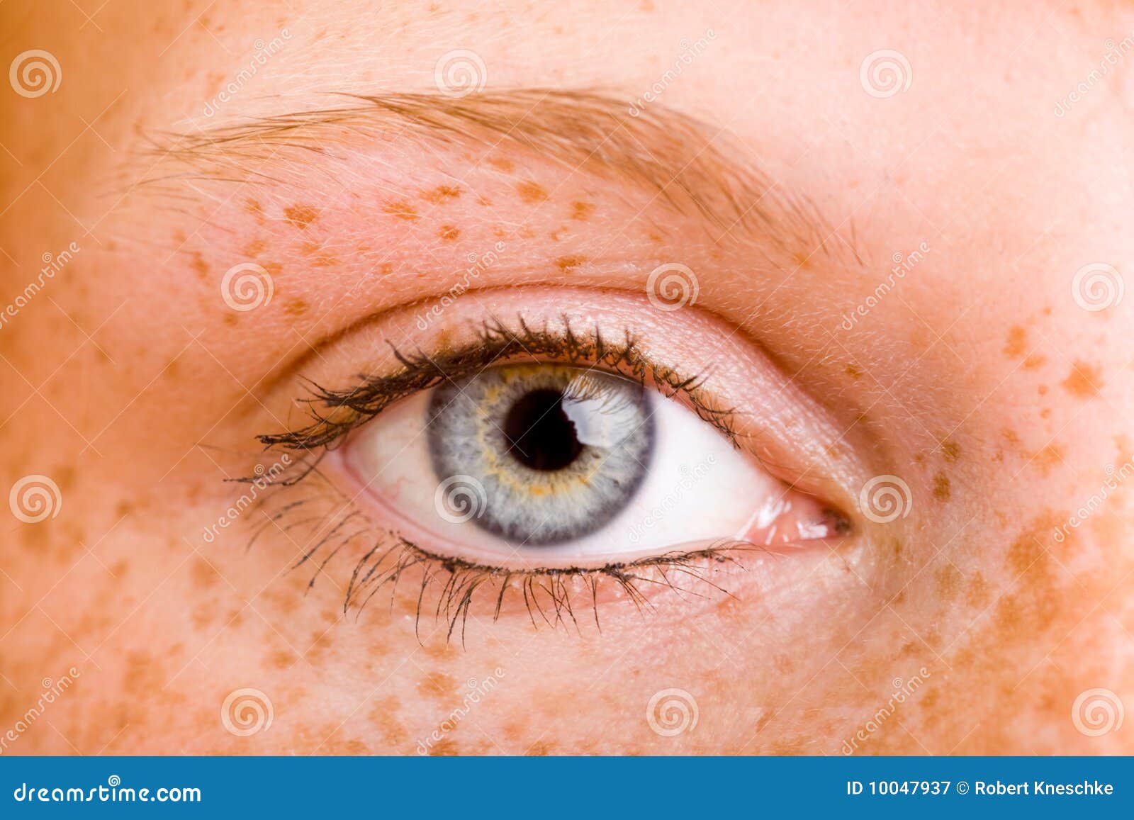 Oko obraz stock. Obraz złożonej z fotografia, patrzeje - 10047937