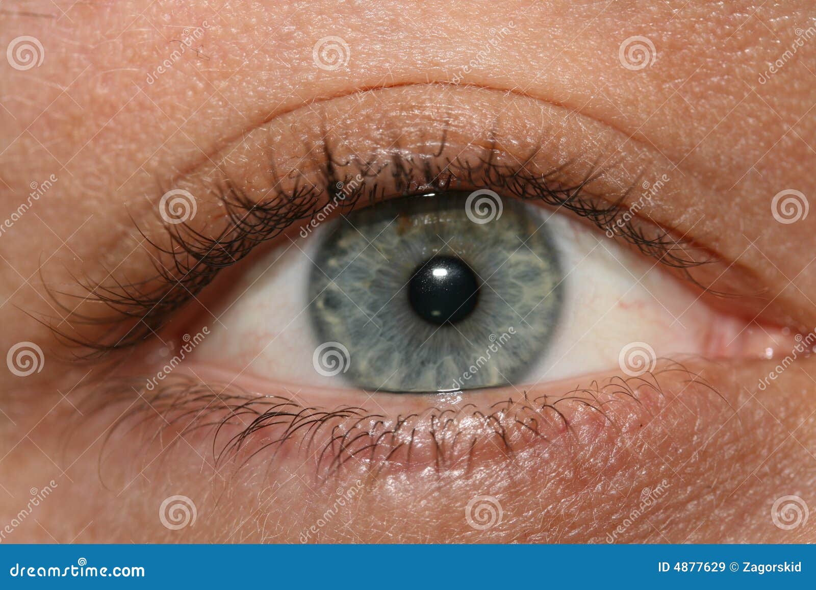 Oko obraz stock. Obraz złożonej z uczeń, greenroom, kobieta - 4877629