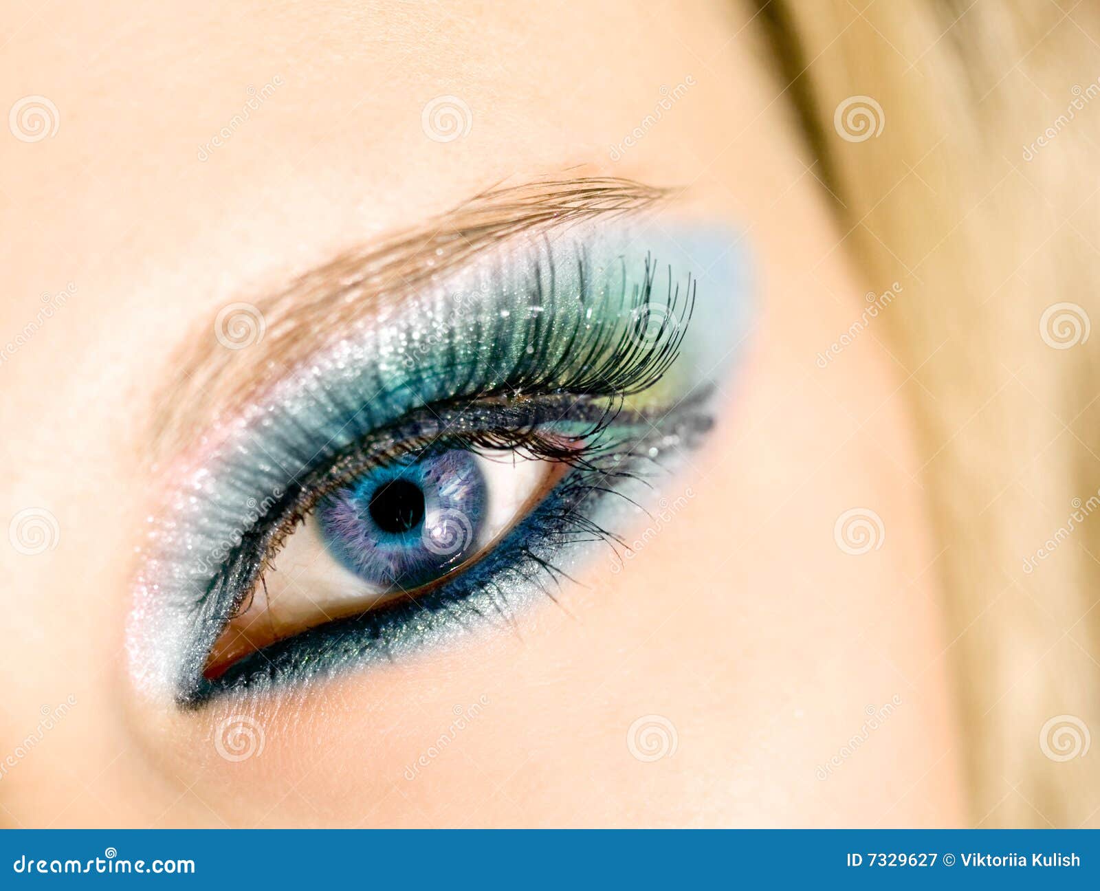 Oko obraz stock. Obraz złożonej z makro, odalisque, hairball - 7329627