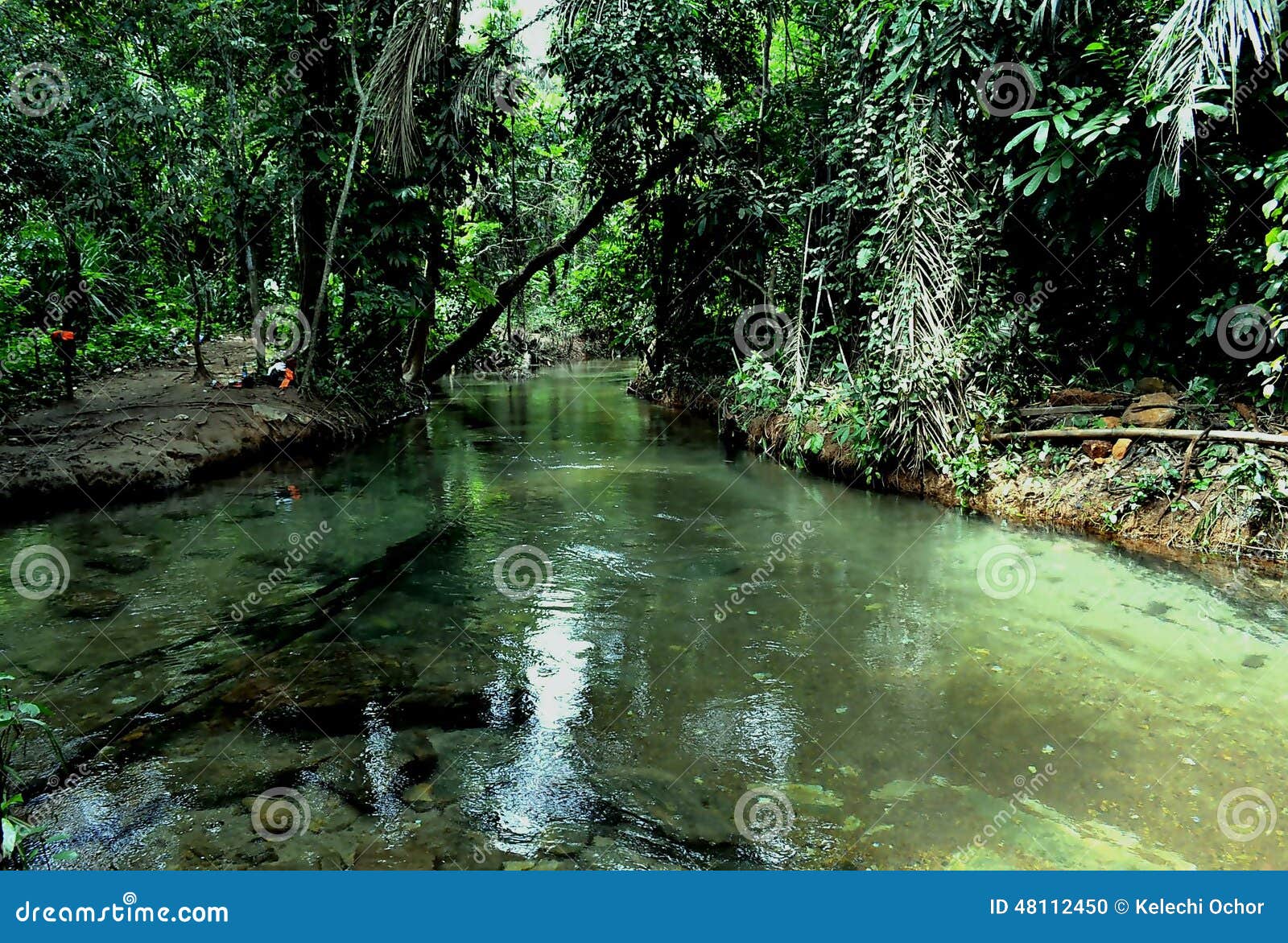 Okpoku jeziora widok zdjęcie stock. Obraz złożonej z natura - 48112450