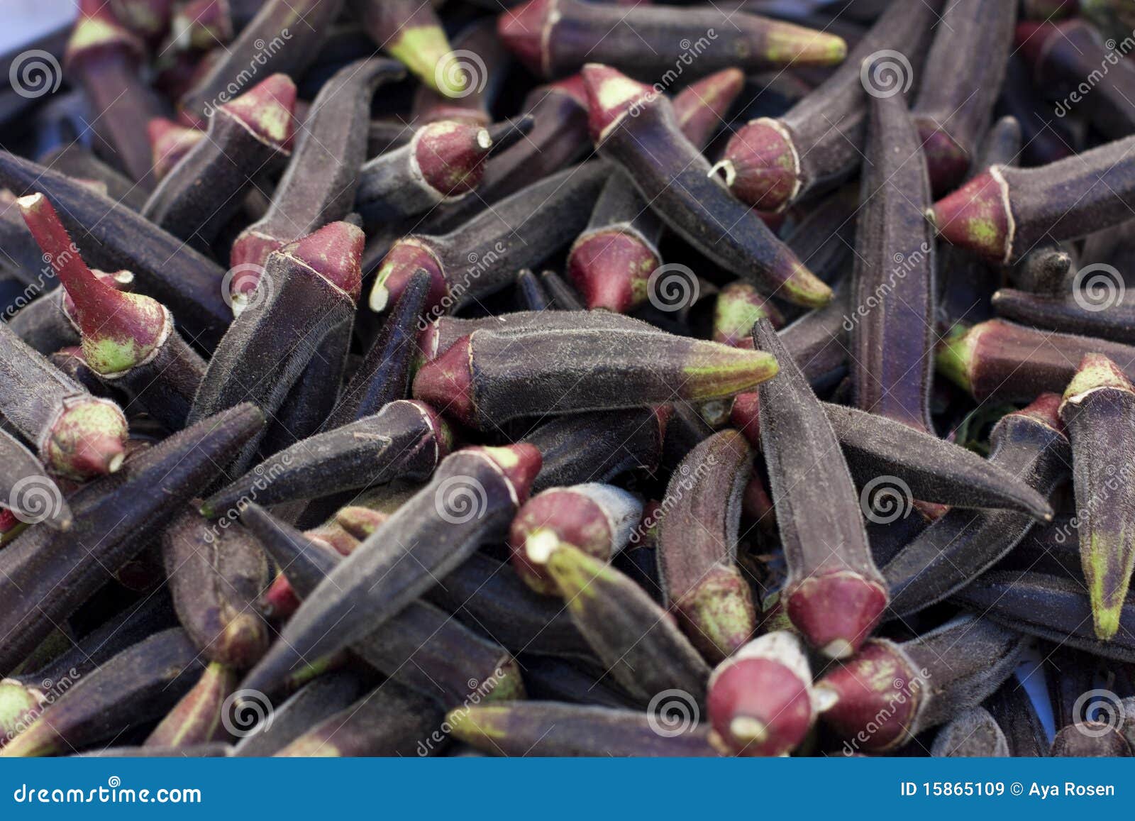 Okra stock image. Image of pile, exotic, healthy, green - 15865109