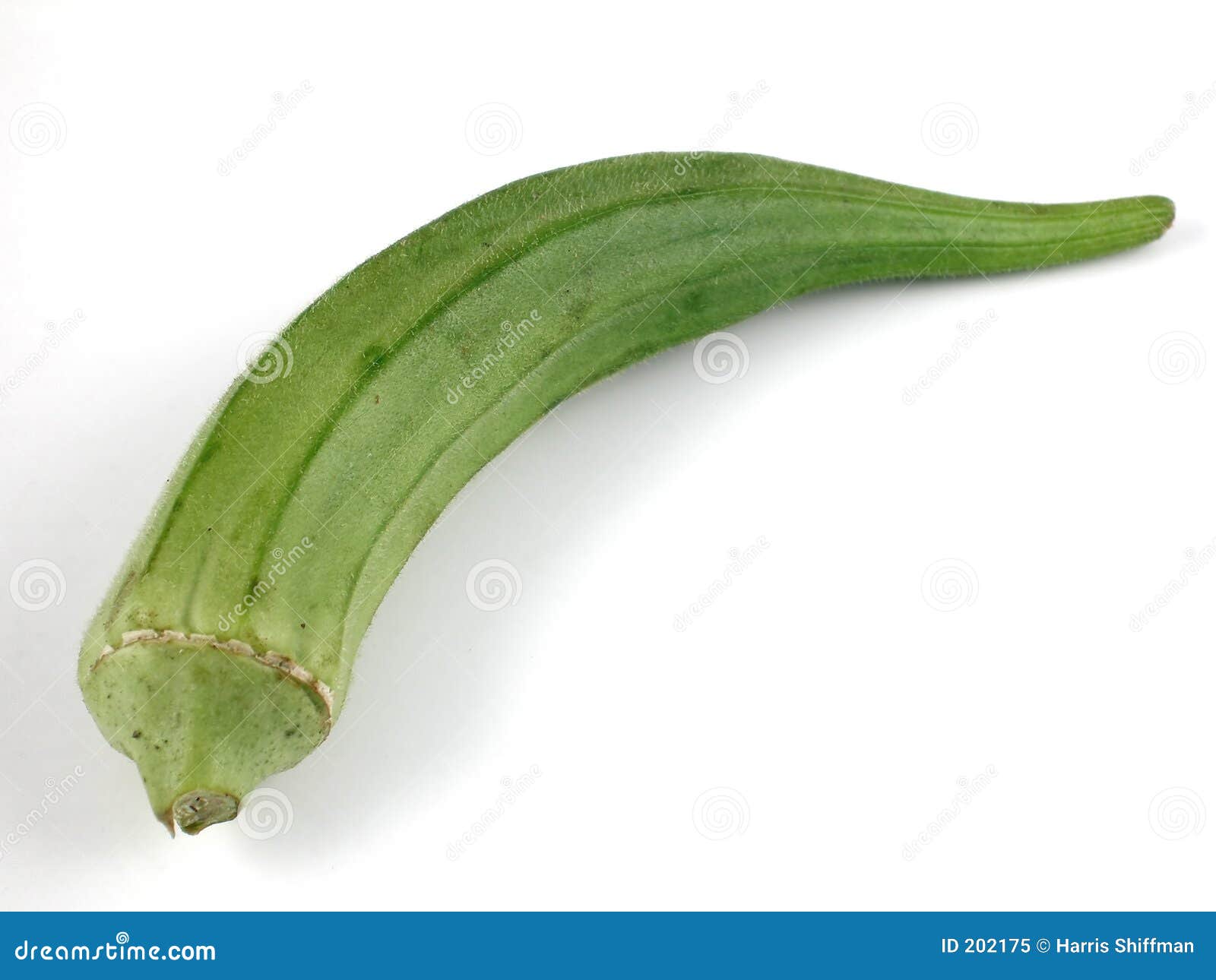 Okra stock image. Image of green, okra, creole, bhindi - 202175