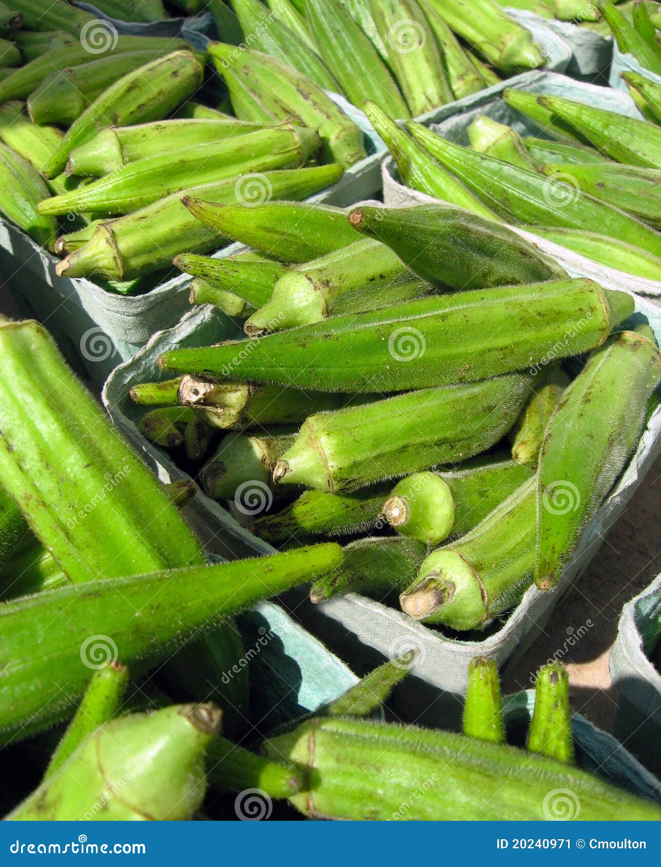 Okra stock image. Image of abundance, diet, outdoors - 20240971