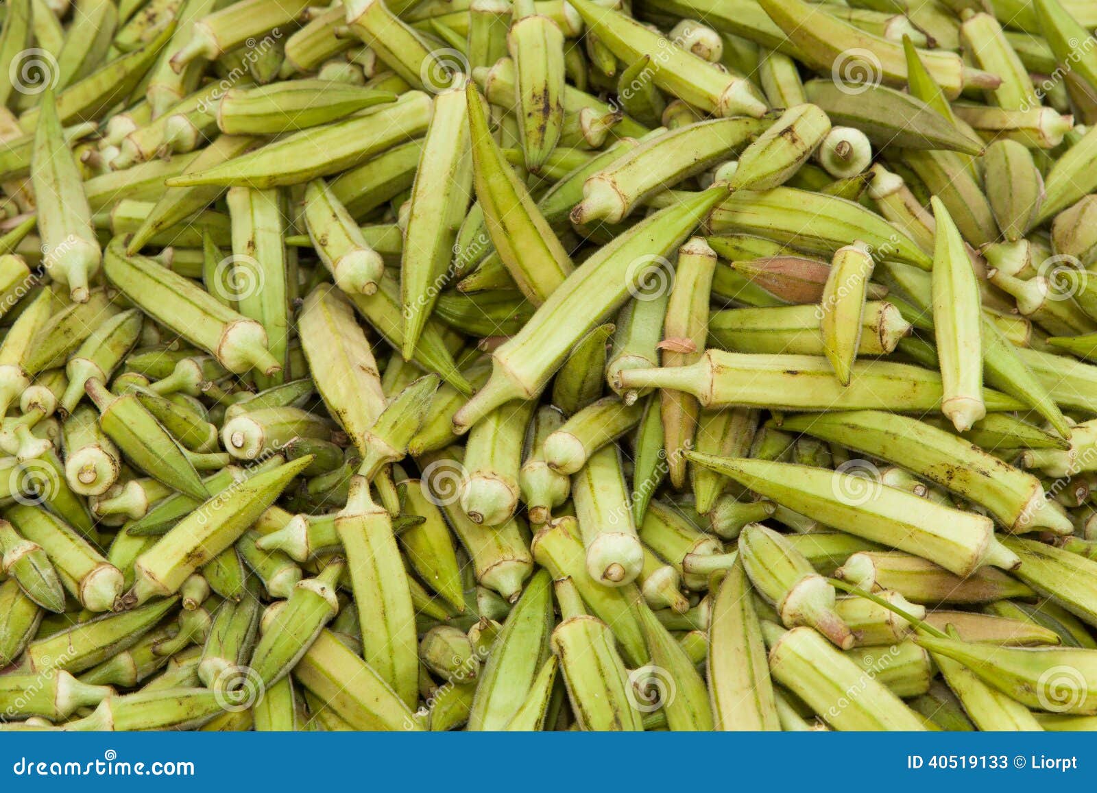 Okra Background stock image. Image of market, stack, texture - 40519133