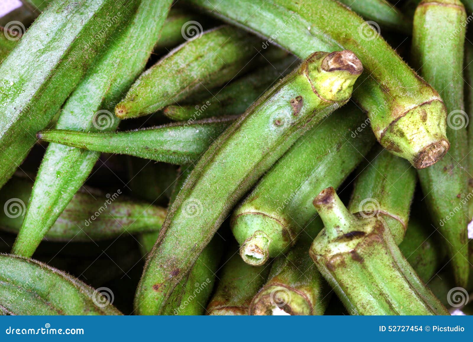 Okra stock photo. Image of shot, beautiful, fresh, healthy - 52727454