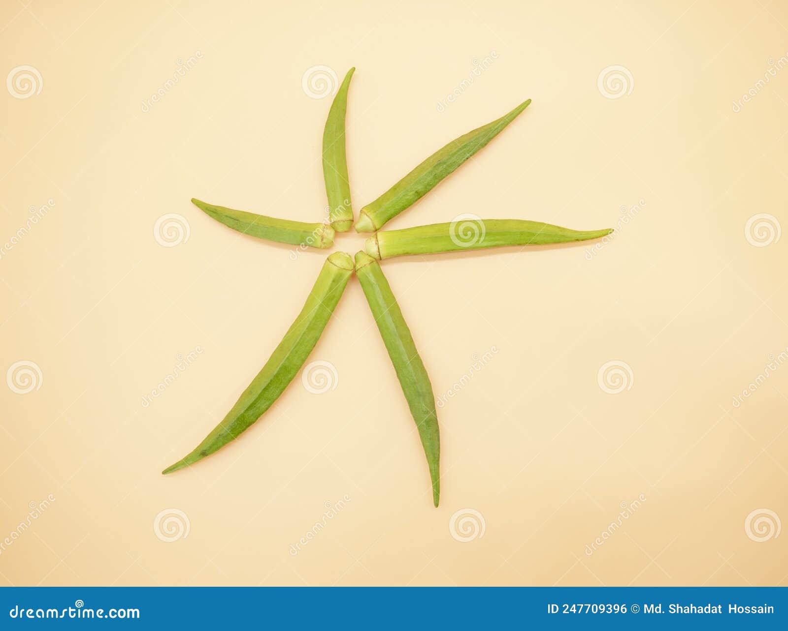 Okra Design Like Star Isolated on Colorful Background Stock Photo ...