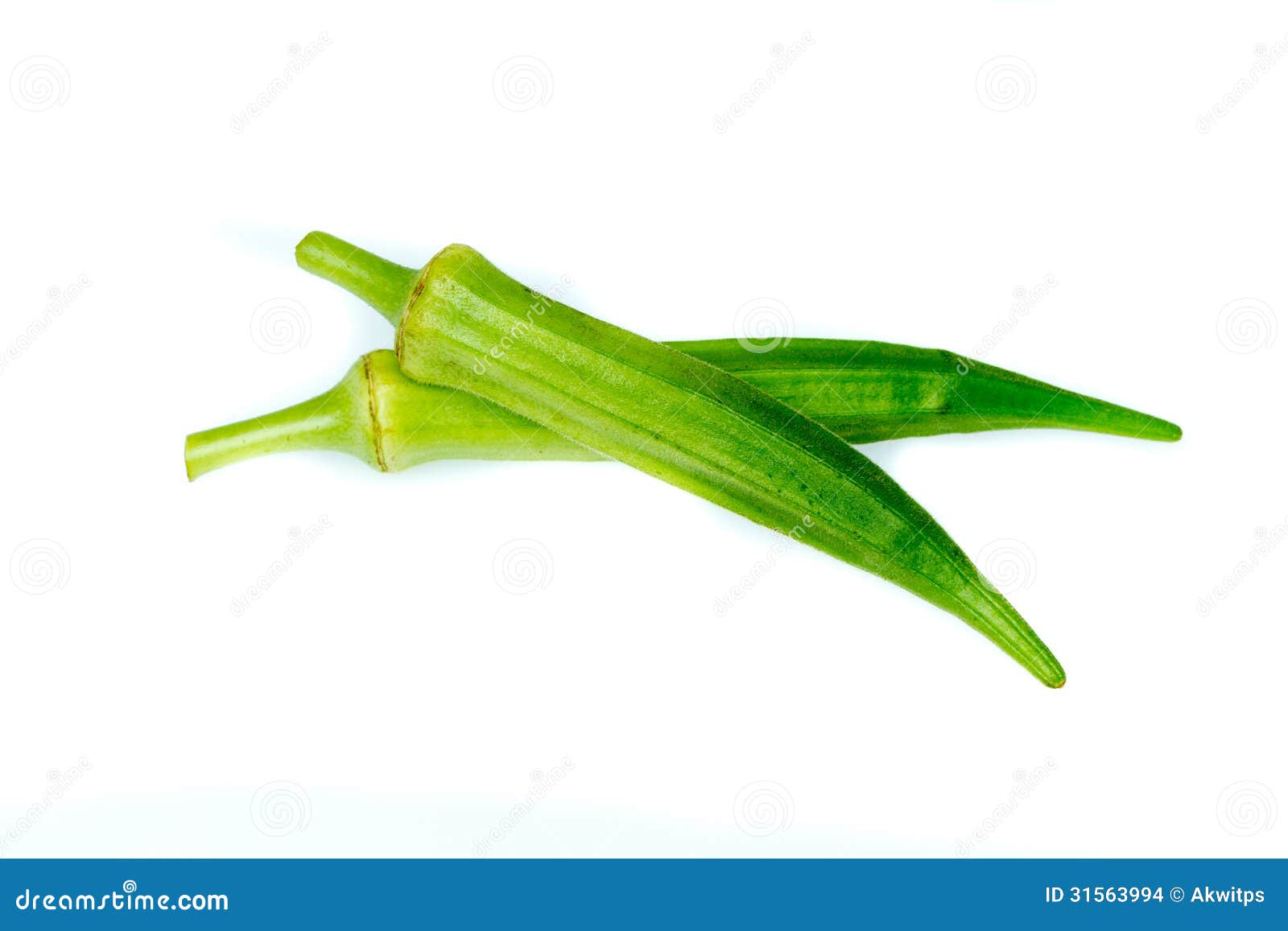 Okra stock photo. Image of okra, vegetable, fingers, healthy - 31563994