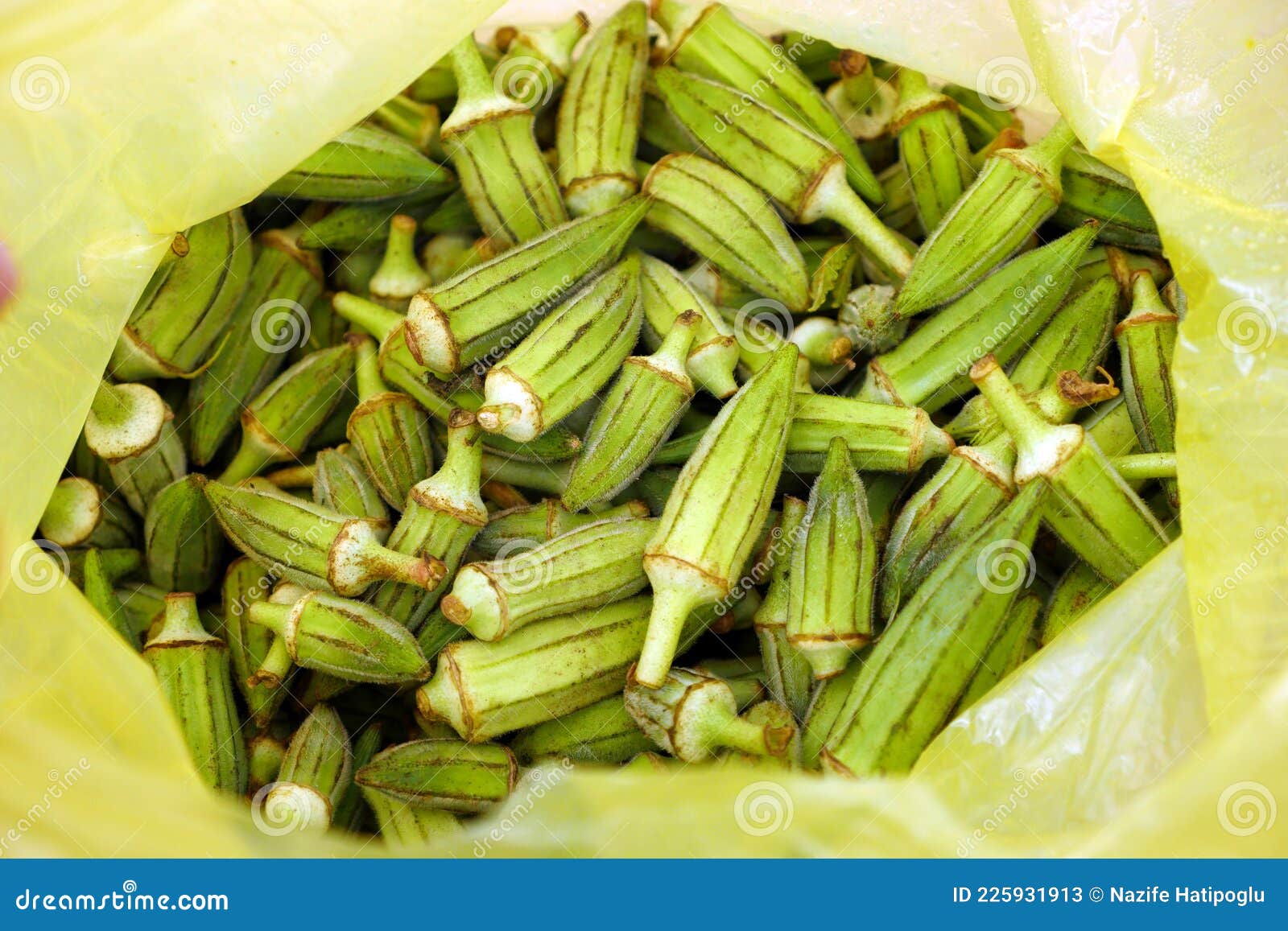 Okra Fruit in the Hand of a Cook, a Large Amount of Fresh Okra Stock ...