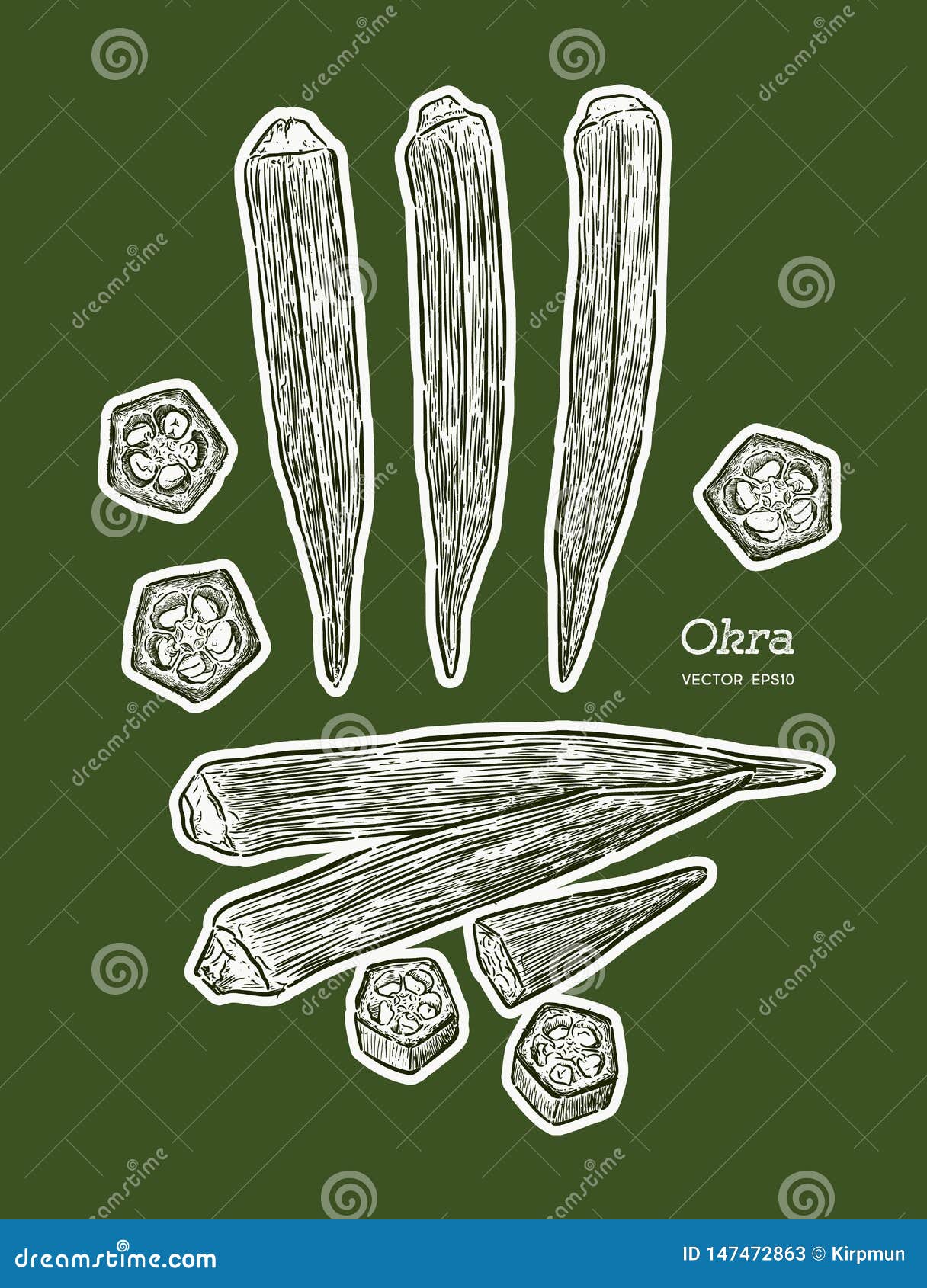 Okra, Hand Draw Vector. Vegetable Stock Vector - Illustration of ...
