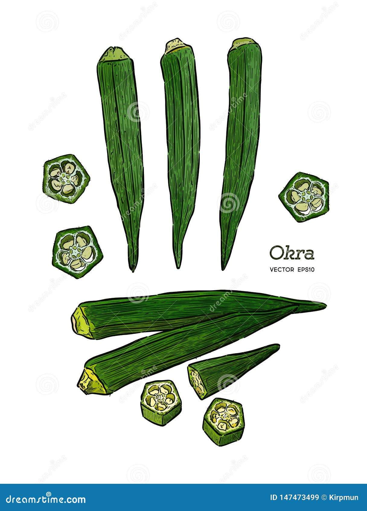 Okra, Hand Draw Sketch Vector. Stock Vector - Illustration of ...