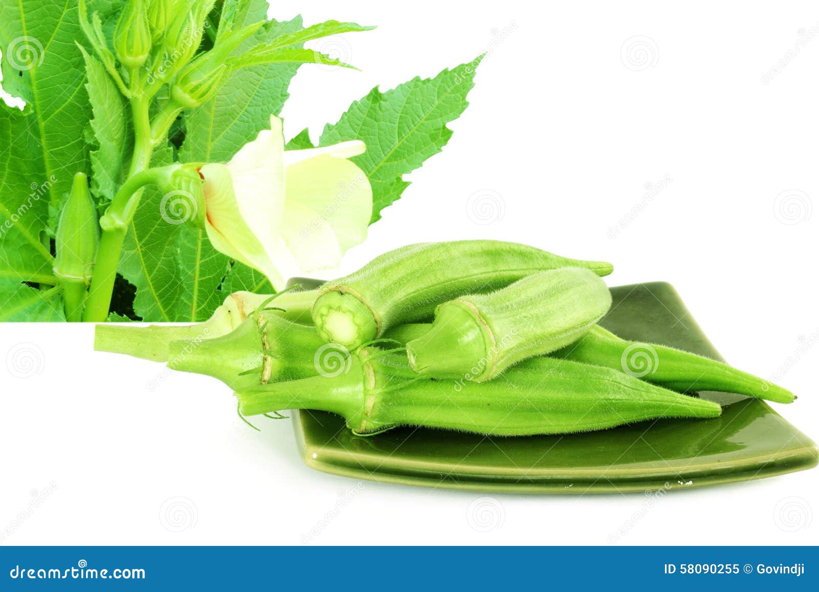 Okra ladyfinger vegetable stock image. Image of cuisine - 58090255