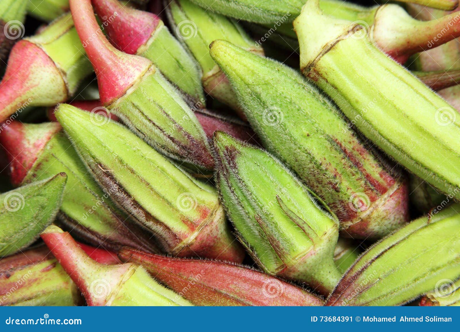 Okra stock image. Image of texture, background, vegetarian - 73684391
