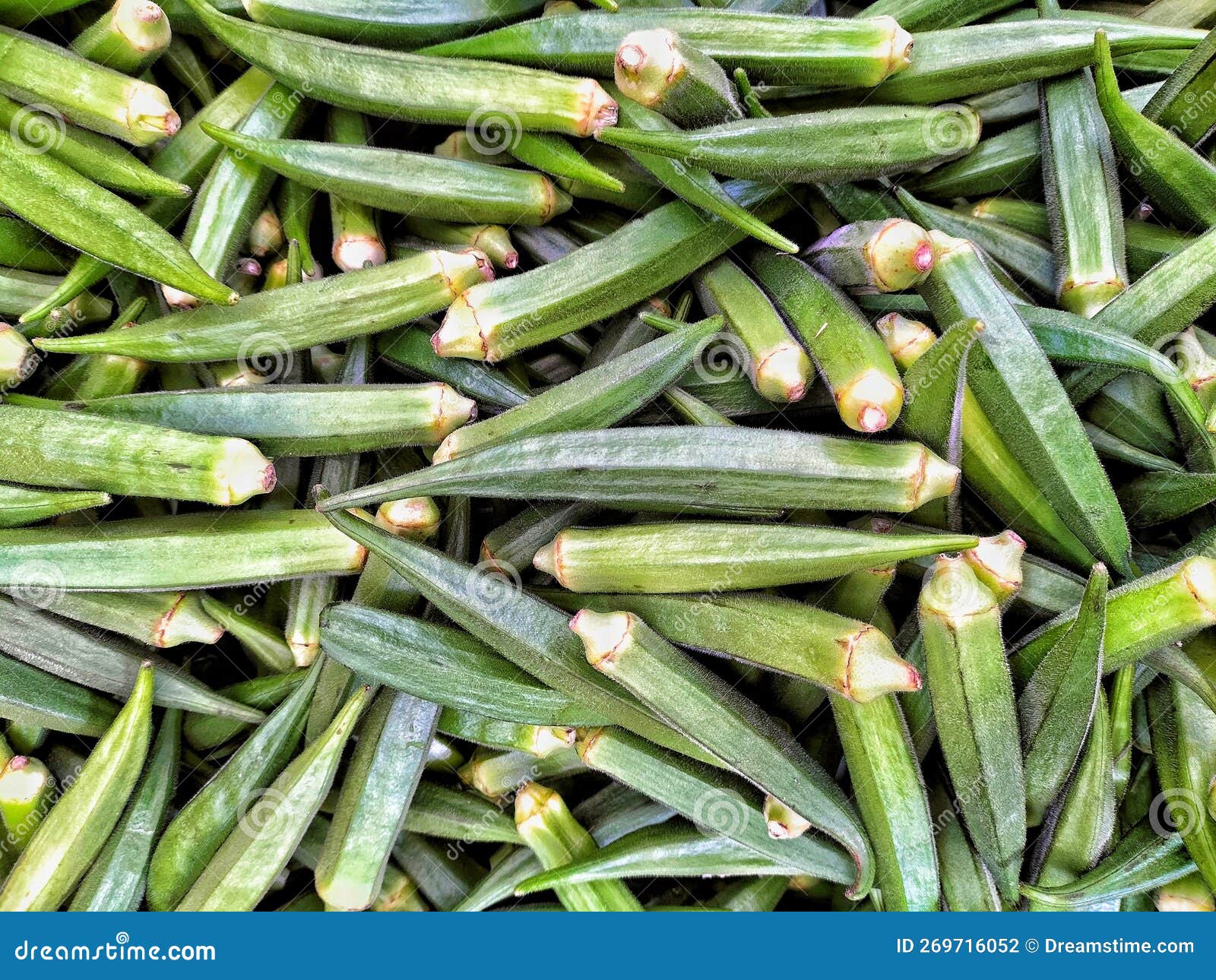 Okra no supermercado foto de stock. Imagem de folha - 269716052