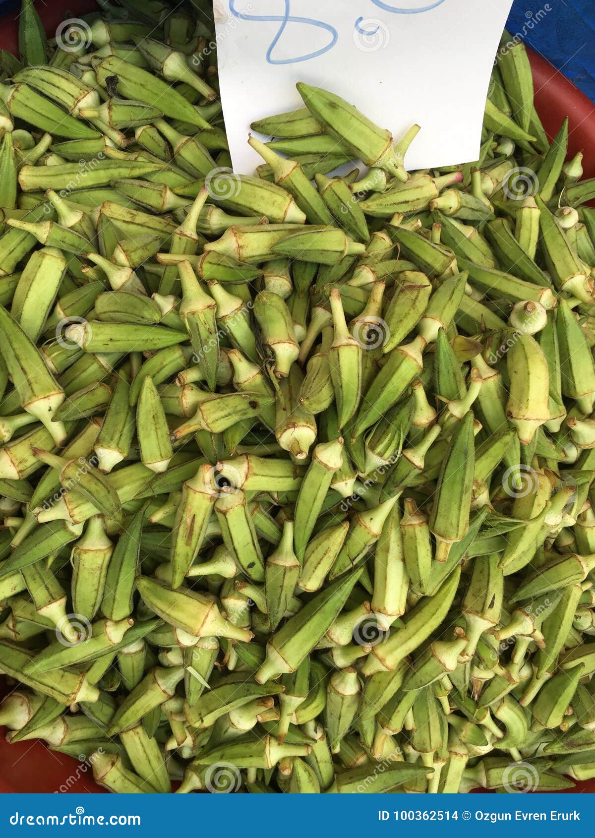 Okra plant background stock photo. Image of gourmet - 100362514