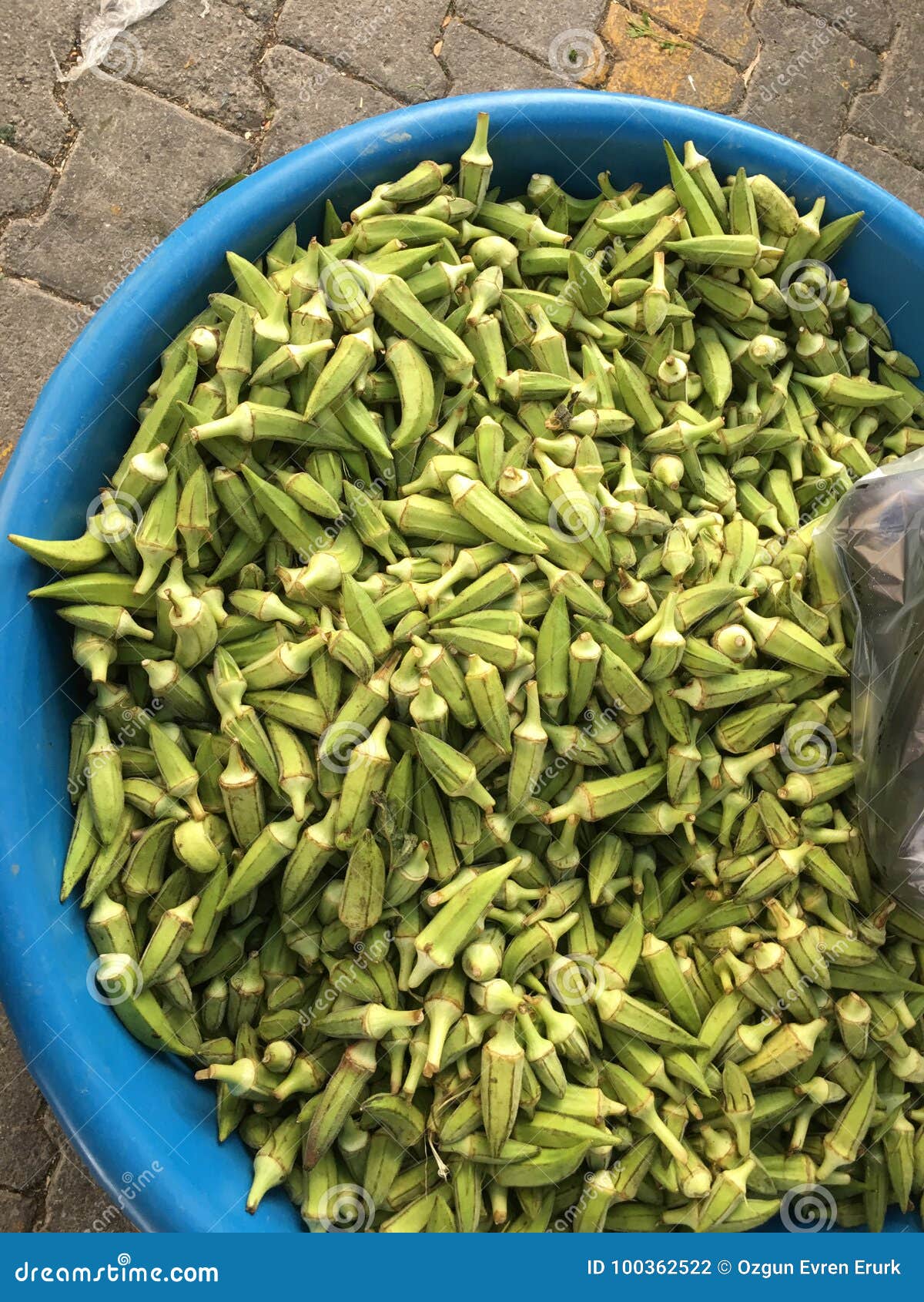 Okra plant background stock photo. Image of group, gardening - 100362522
