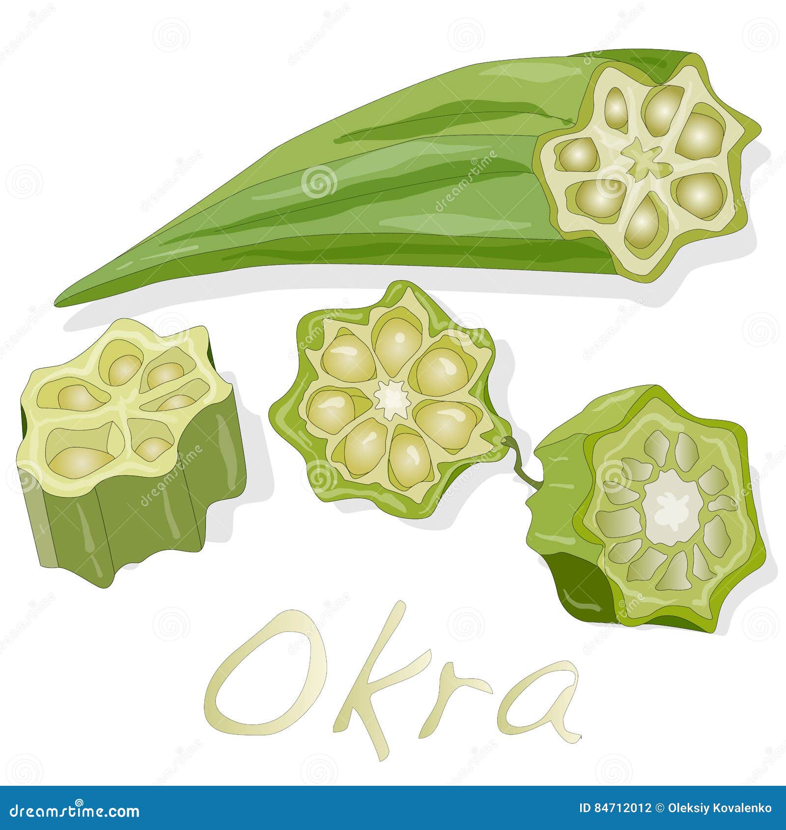 Okra Plant Vector Illustration Stock Vector - Illustration of gumbo ...
