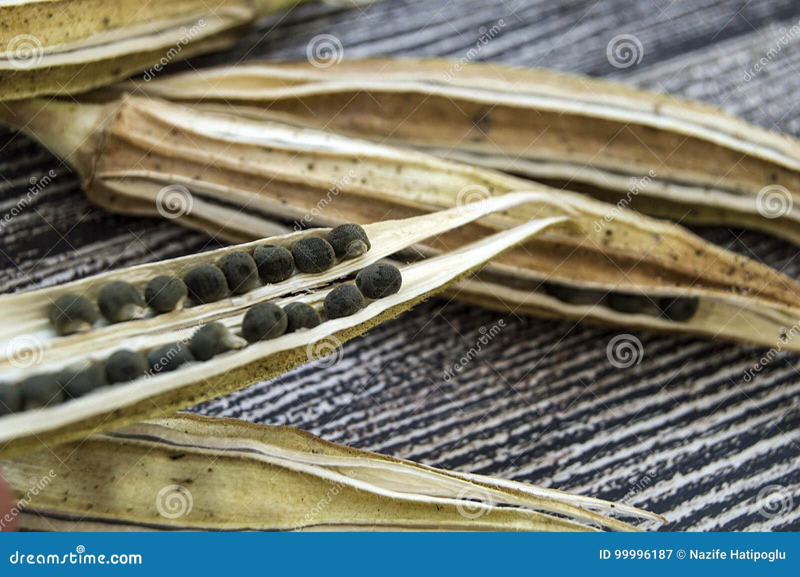 Okra Seeds, Okra Produce Seed, Okra Seed For Sowing, Stock Image ...