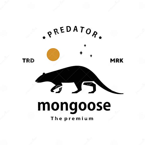 Mongoose Logo Vector Silhouette Art Icon Stock Vector - Illustration of ...
