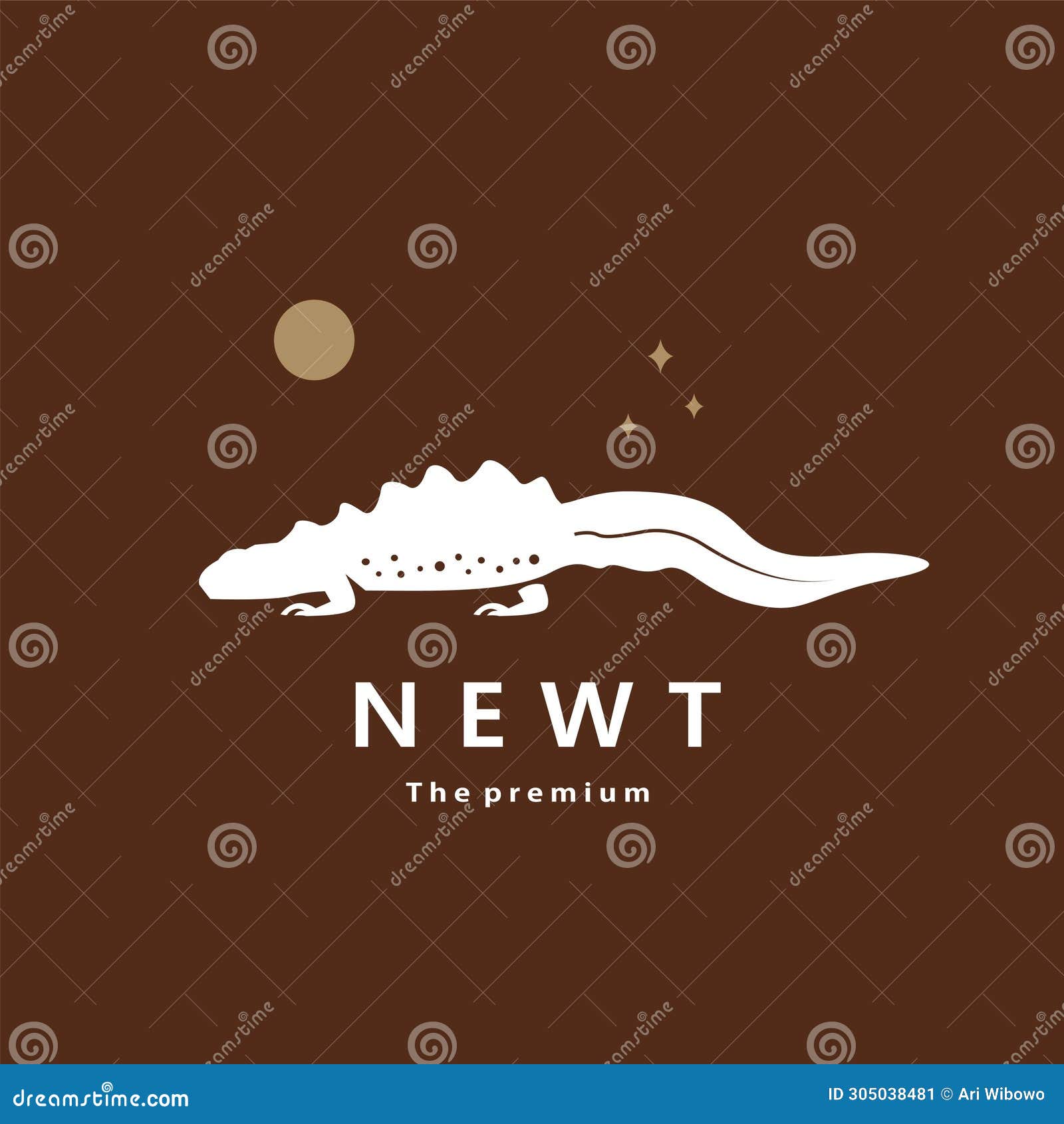 European Newt, Common Newt, Lissotriton Vulgaris, Watercolor ...