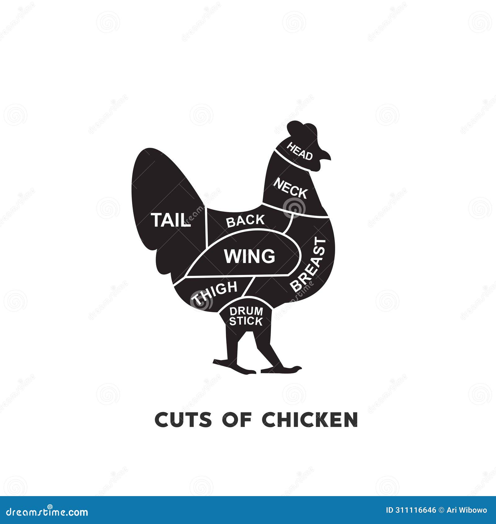 Vector Illustration Guide Meat Cuts Set. Chicken Butcher Poster Stock ...