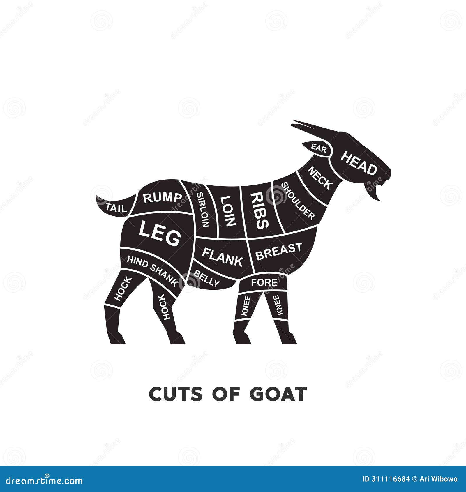 Vector Illustration Guide Meat Cuts Set. Goat Butcher Poster Stock ...