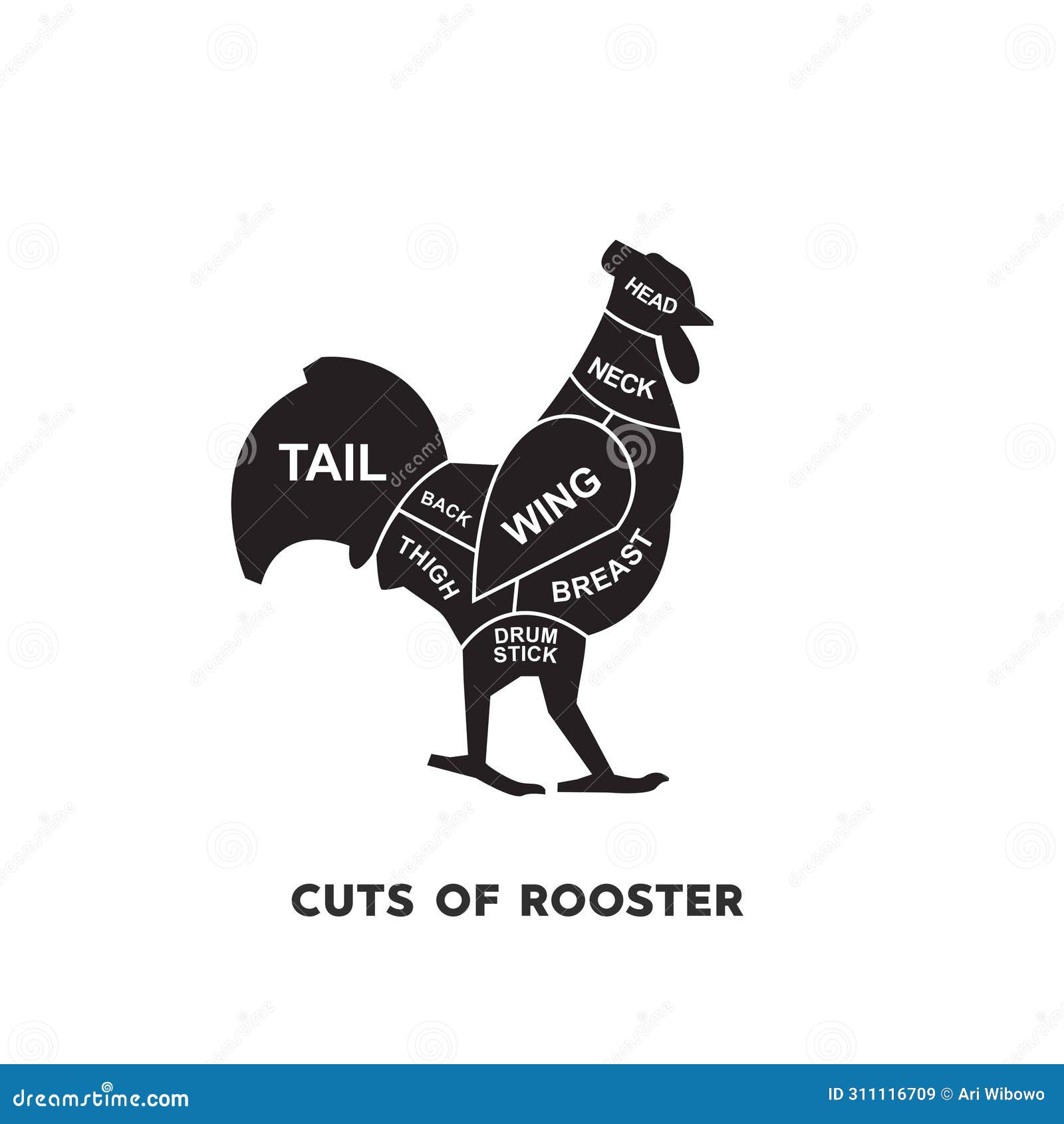 Vector Illustration Guide Meat Cuts Set. Rooster Butcher Poster Stock ...
