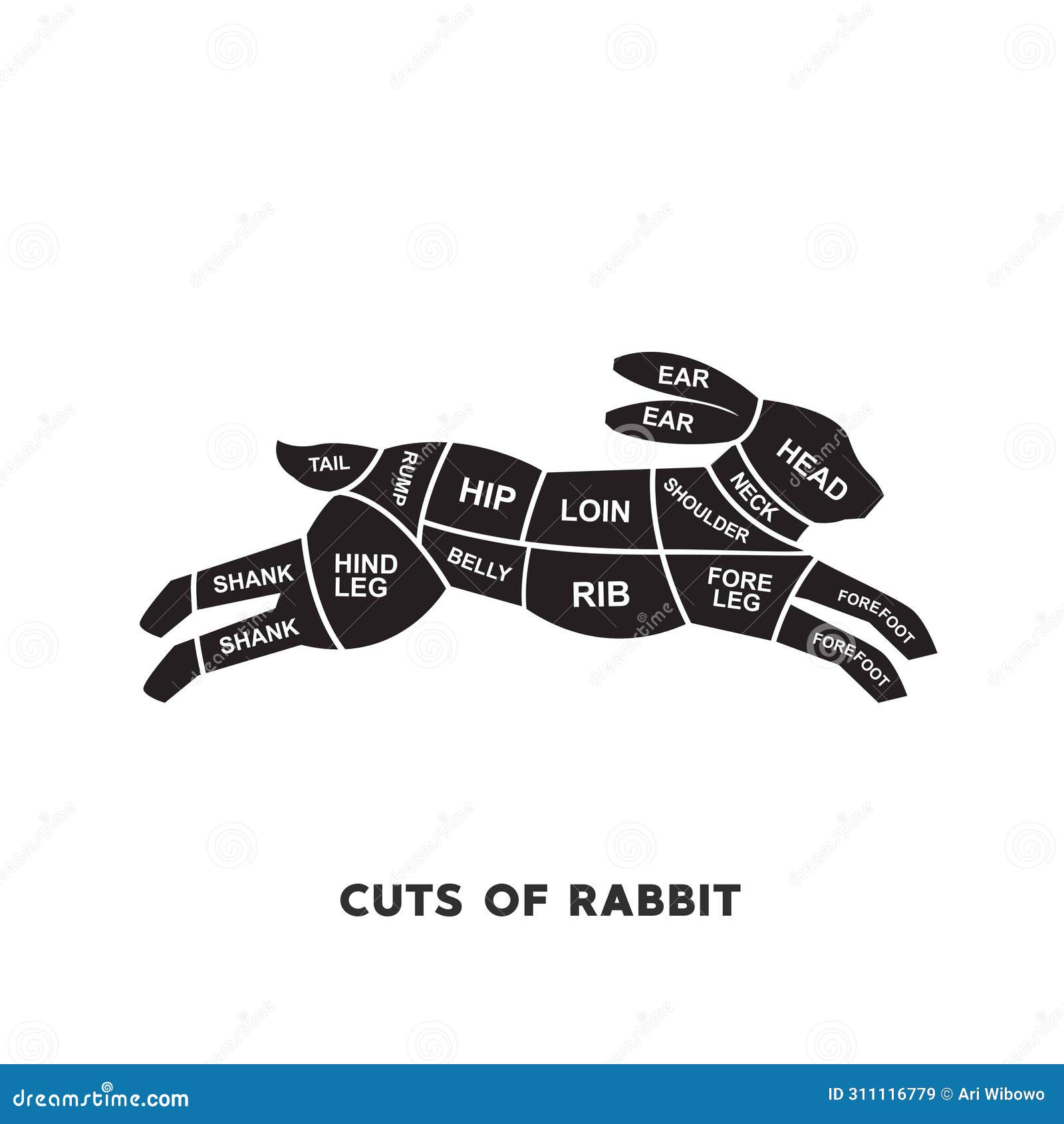 Rabbit Butcher Cuts Diagram Vector Illustration | CartoonDealer.com ...