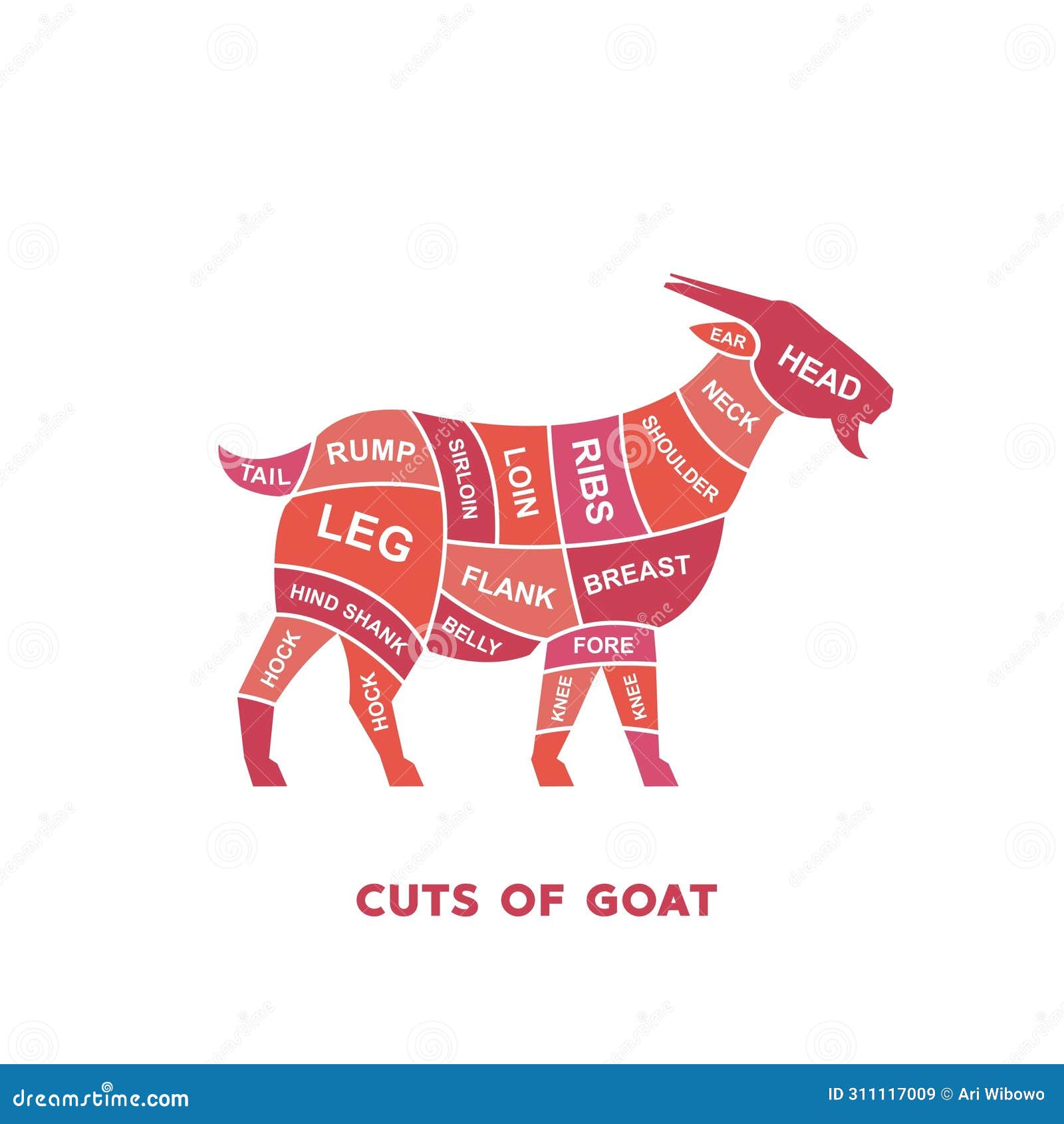 Goat Guide With Backpack And Map Royalty-Free Stock Photography ...