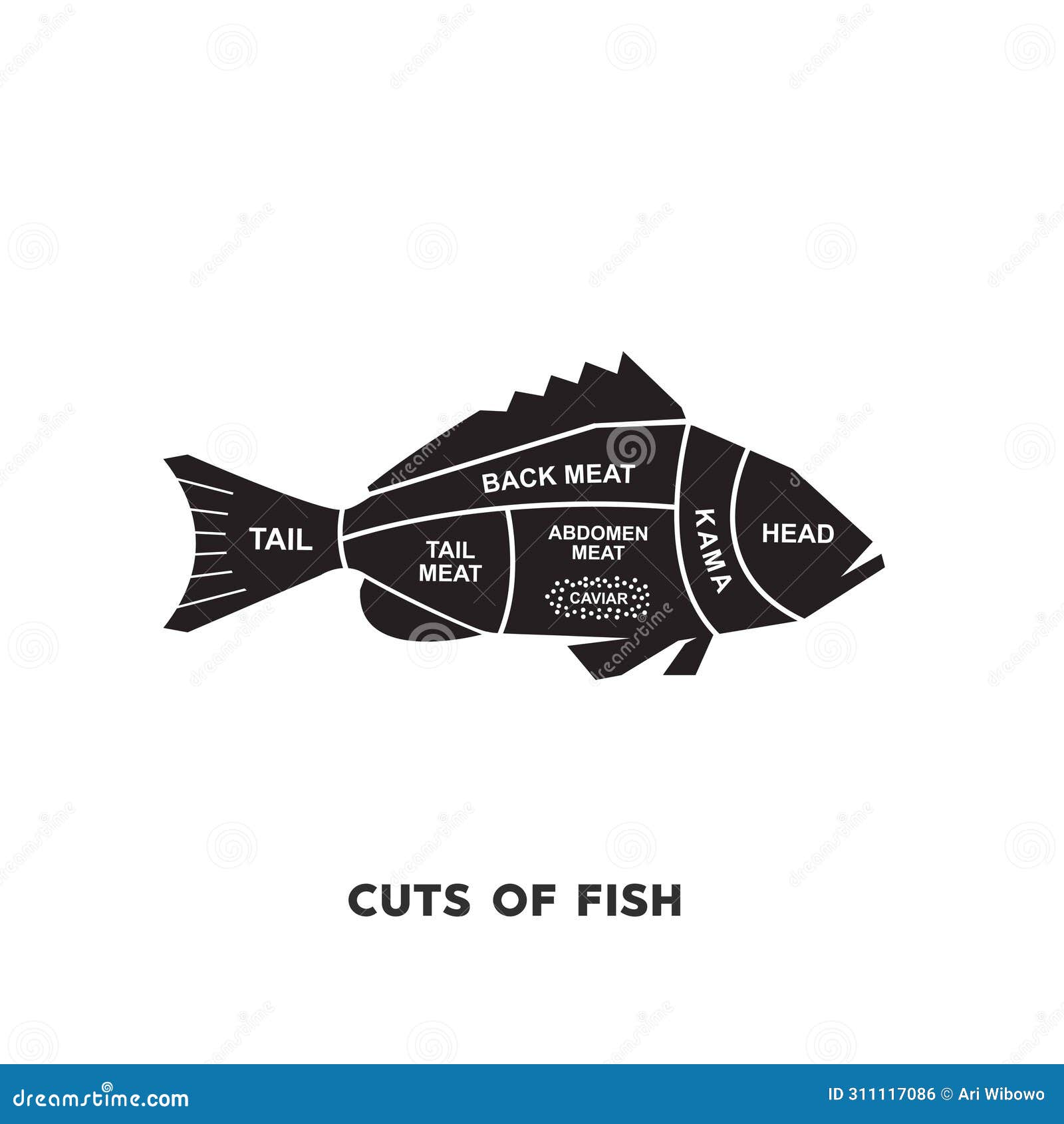 Vector Illustration Guide Meat Cuts Set. Fish Butcher Poster Stock ...