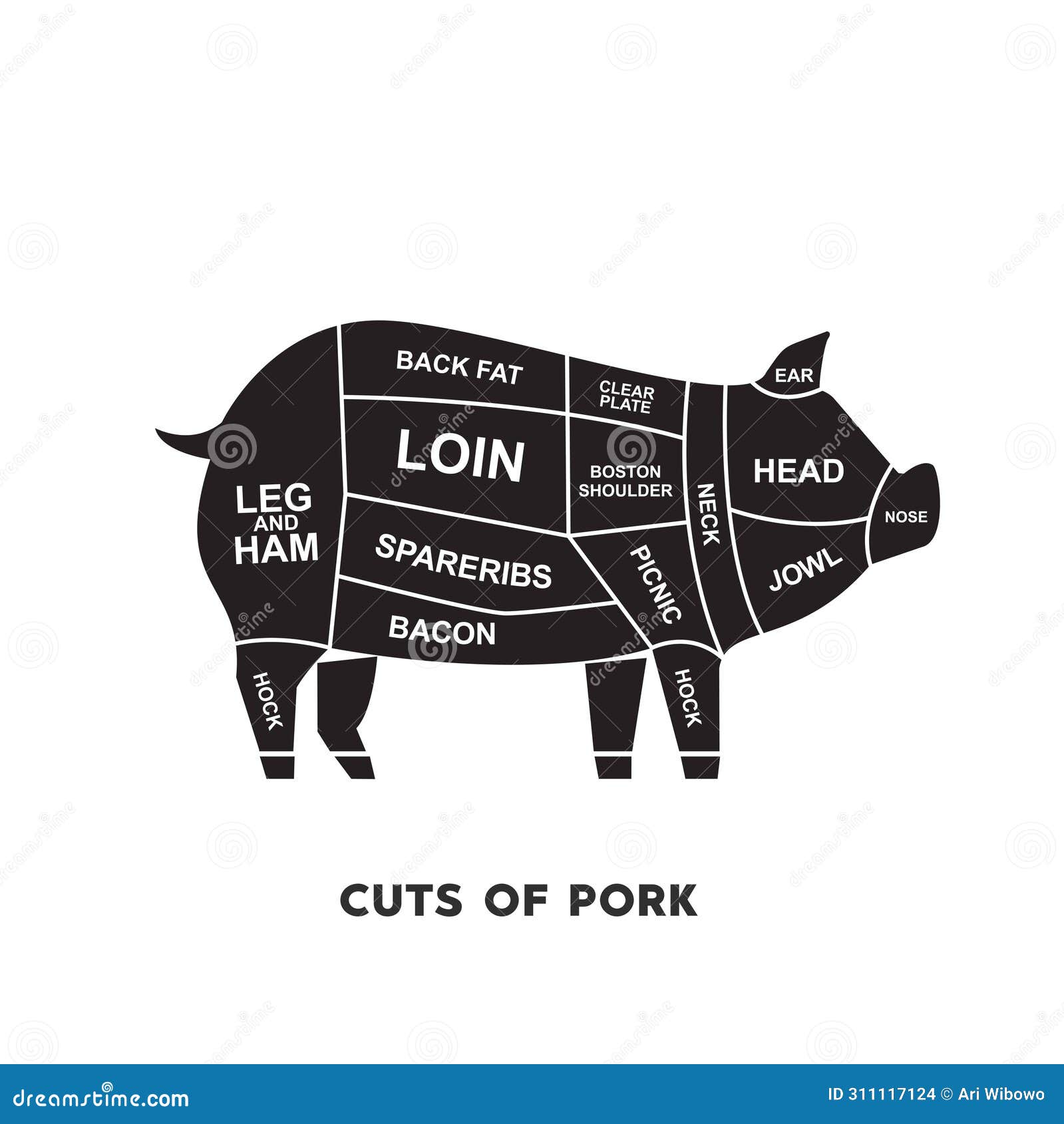 Vector Illustration Guide Meat Cuts Set. Pork Butcher Poster Diagrams ...