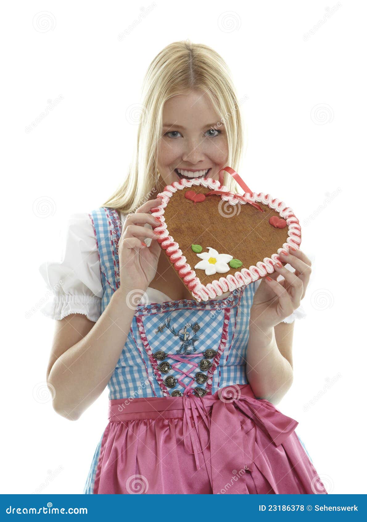 Oktoberfest Dirndl stock photo. Image of long, german - 23186378