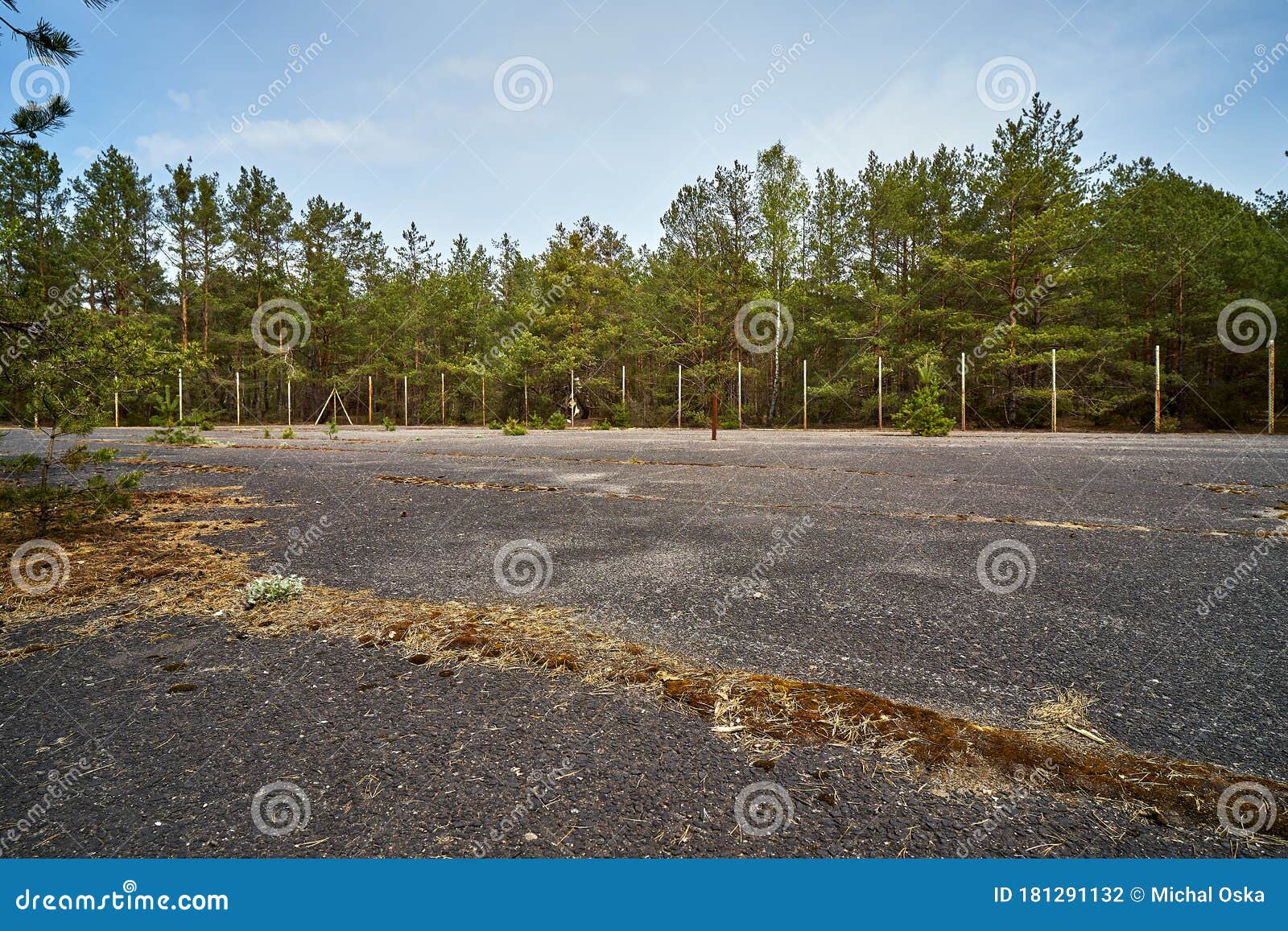 Old Abandoned Asphalt Playground in the Spring Forest Stock Photo ...