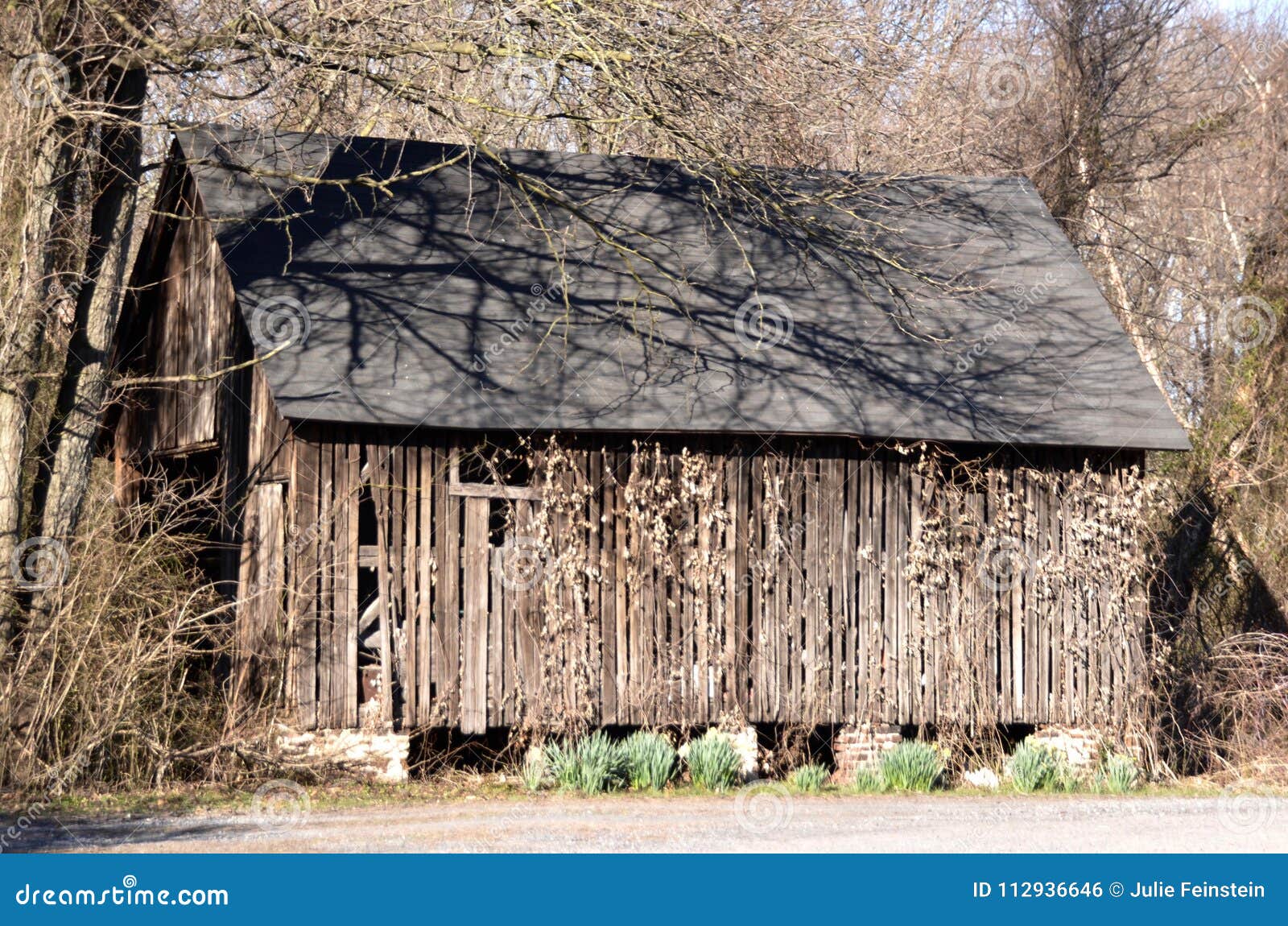 Old Barn stock photo. Image of briar, wooden, decrepit - 112936646