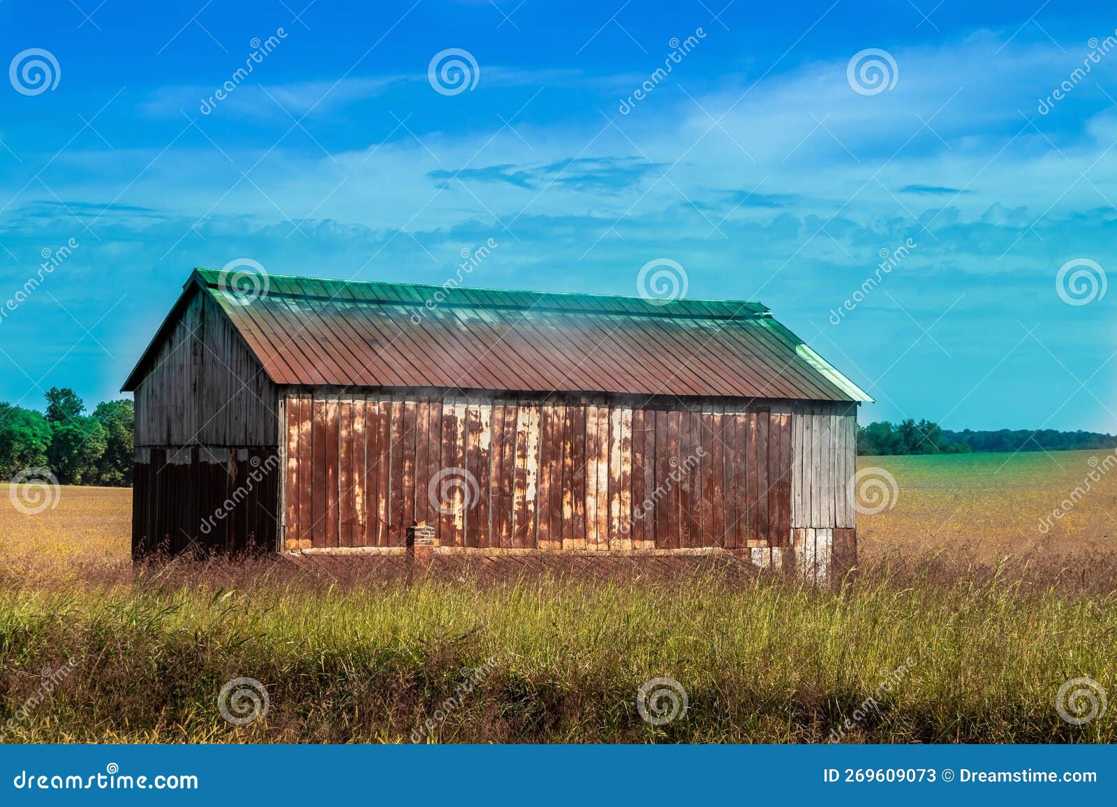 Old Abandoned Barn in a Field Stock Image - Image of house, nature ...