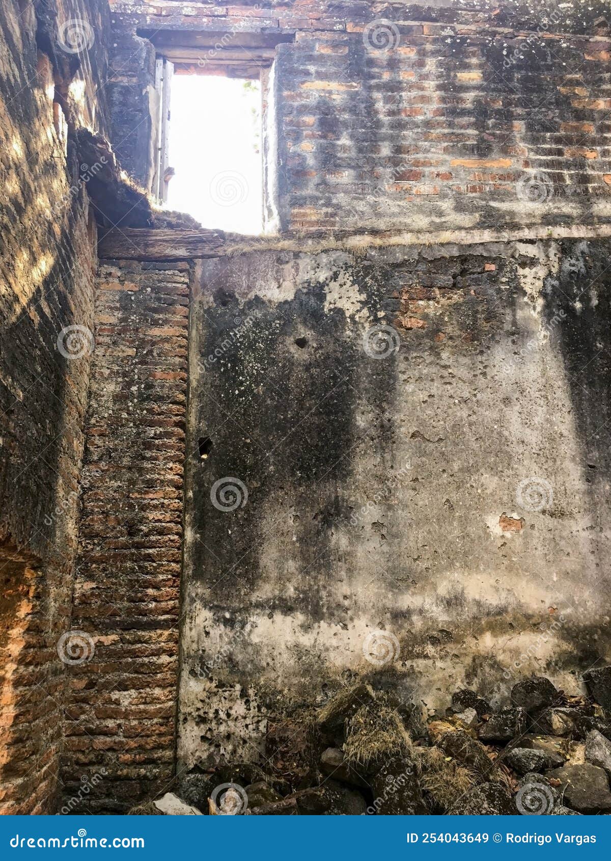 Old Abandoned Building, Nature Grows Back Brick Stock Image - Image of ...