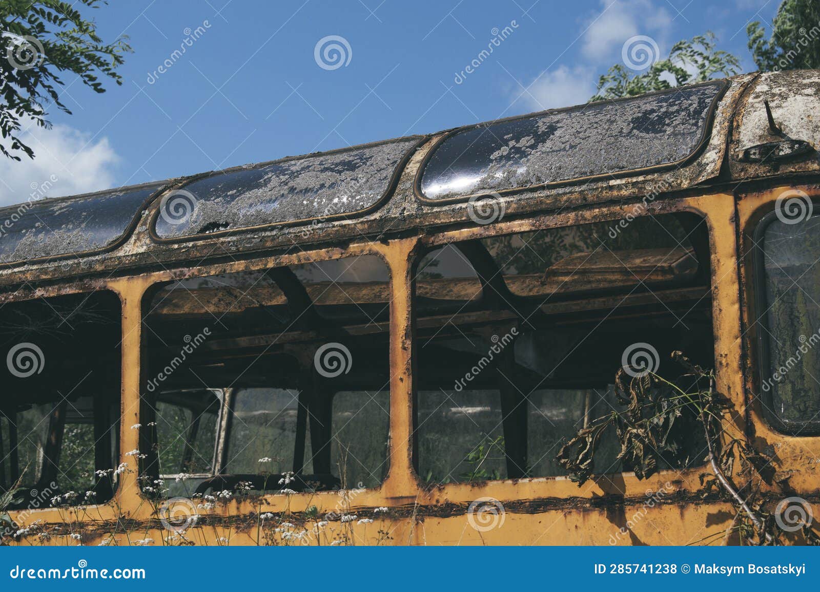 Old, Abandoned Buses in the Bushes. Broken Buses Graveyard of Old Buses ...