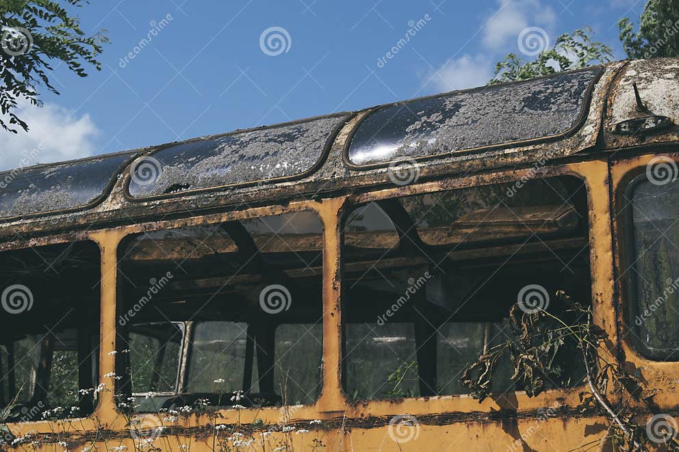 Old, Abandoned Buses in the Bushes. Broken Buses Graveyard of Old Buses ...