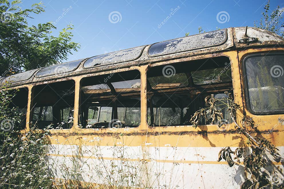 Old, Abandoned Buses in the Bushes. Broken Buses Graveyard of Old Buses ...